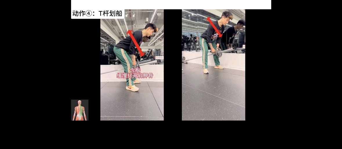 健身动作合集—7大肌肉群51个动作 哔哩哔哩 Bilibili