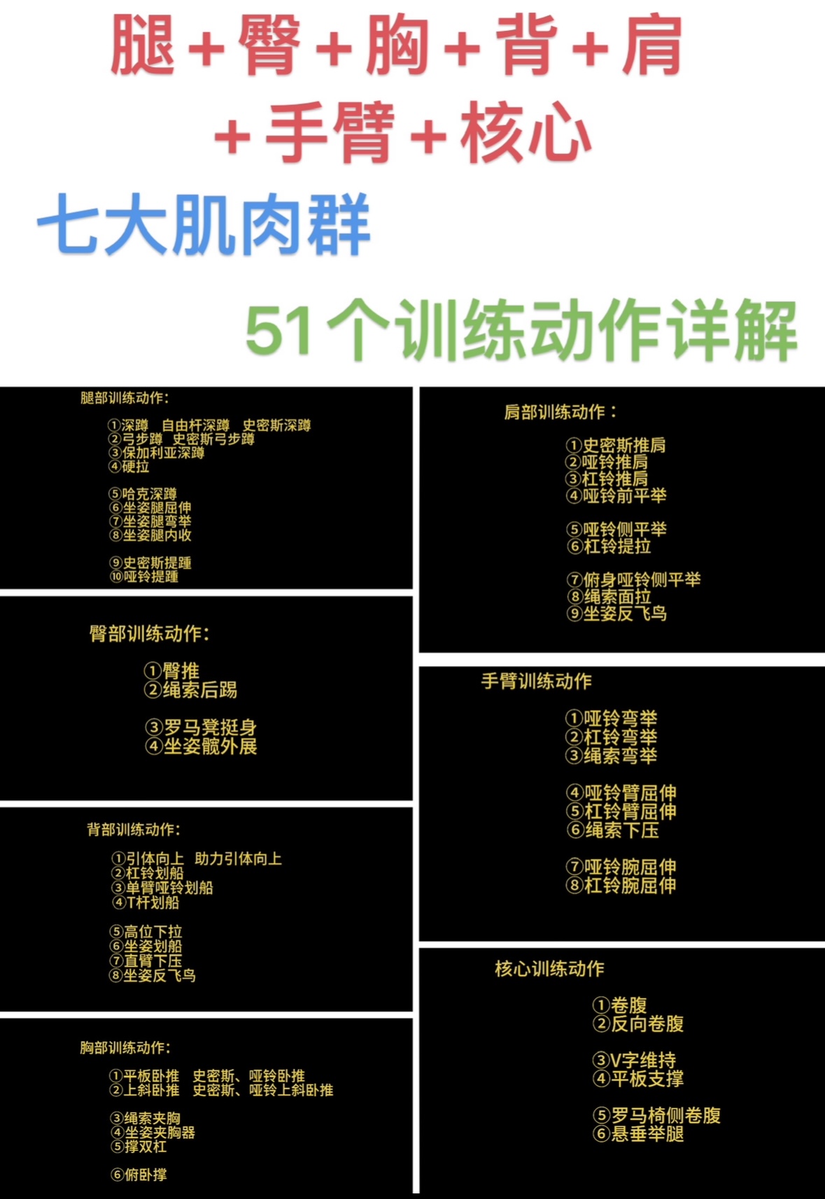 健身动作合集—7大肌肉群51个动作_哔哩哔哩_bilibili