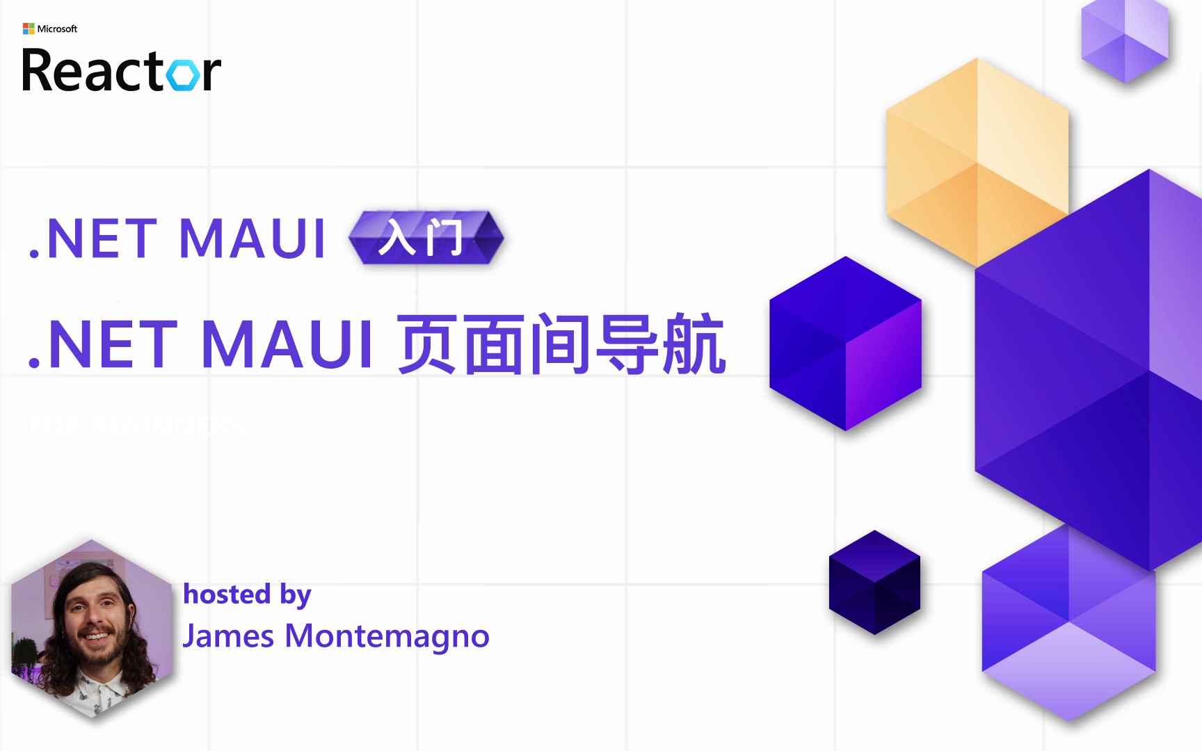 [微软开发者社区]-如何使用.NET MAUI (MVVM)模式整理你的视图模型