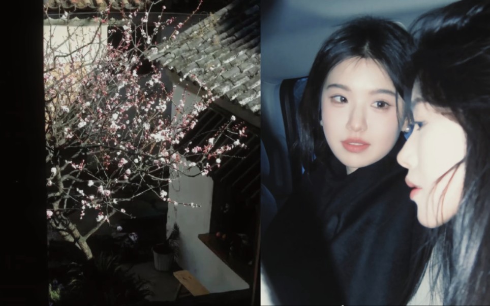 视频去哪了？-Jolene_e-sub-哔哩哔哩视频