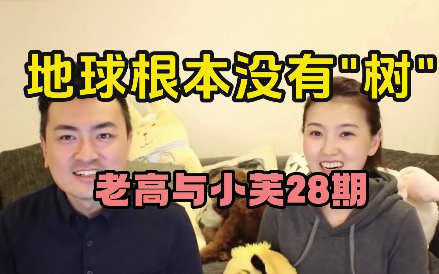 【老高与小茉28期】我们的地球根本没有树|油管搬运-老高与小茉MrGao-老高与小茉MrGao-哔哩哔哩视频