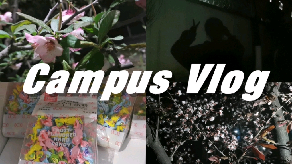 校园vlog|散步|流星花园|花花_哔哩哔哩_bilibili