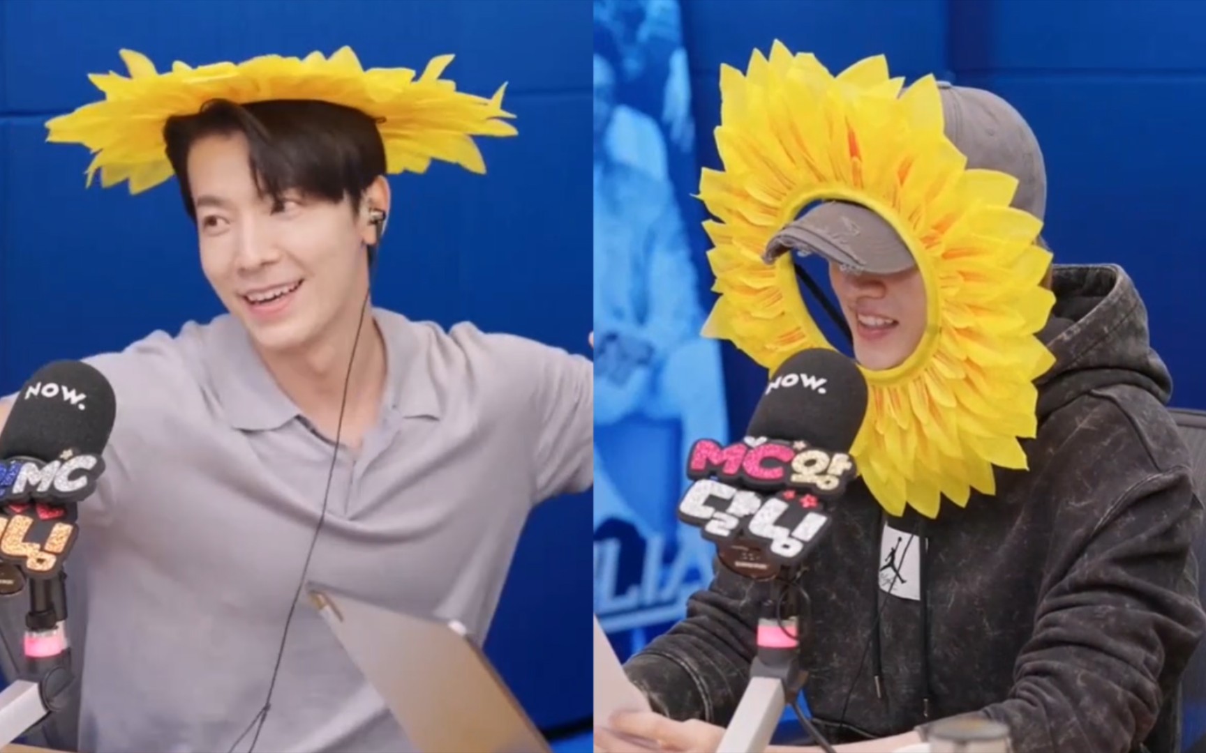 向日葵里最有cp感的，cp界里长的最像向日葵的【Super Junior D&E】_哔哩哔哩_bilibili