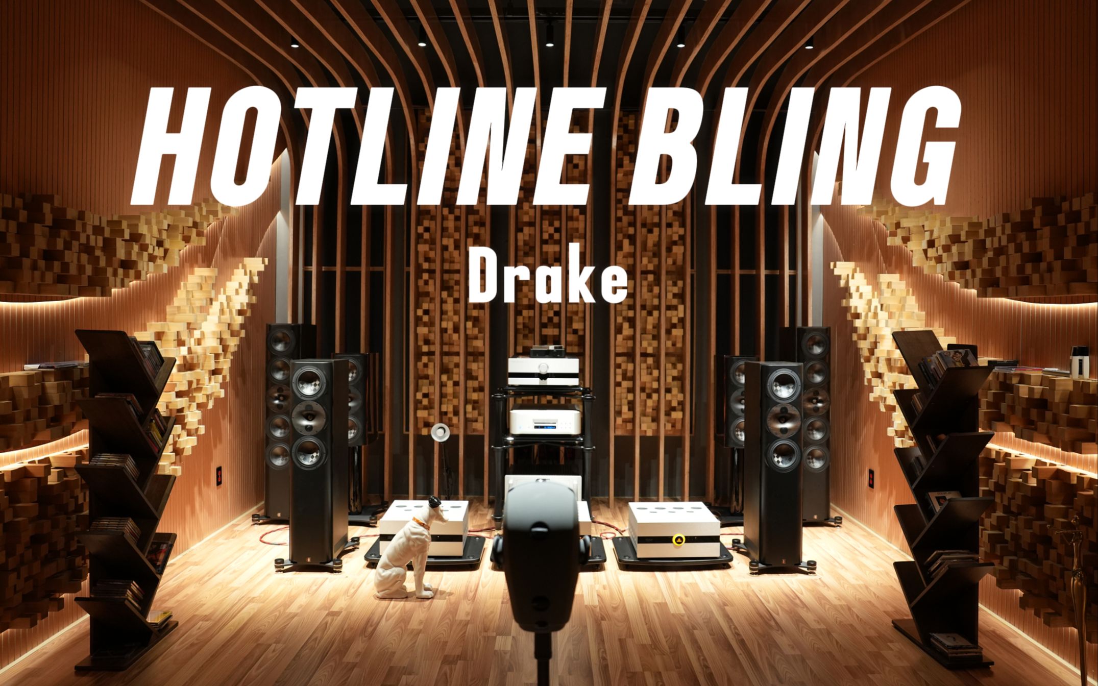 《Hotline Bling》——Drake【人头录音-置身现场】【Hi-Res】-听音乐的小狗-听音乐的小狗-哔哩哔哩视频