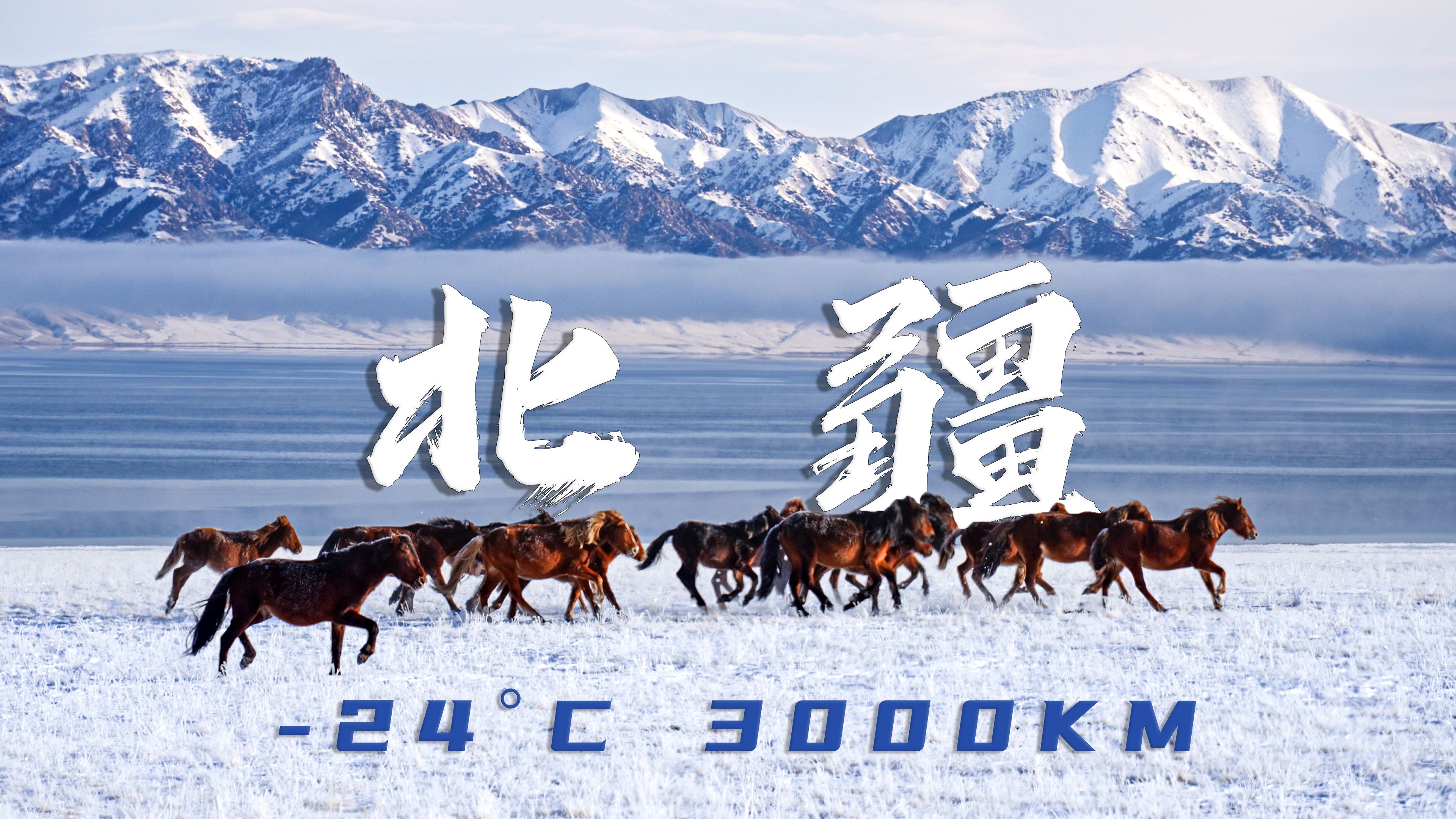 挑战零下24度睡车里！3000KM极致风光之旅 | 冬季北疆环线自驾 新疆 赛里木湖 禾木 喀纳斯 白哈巴 安集海大峡谷 独山子大峡谷-Peng的世界_-Peng的世界_-哔哩哔哩视频