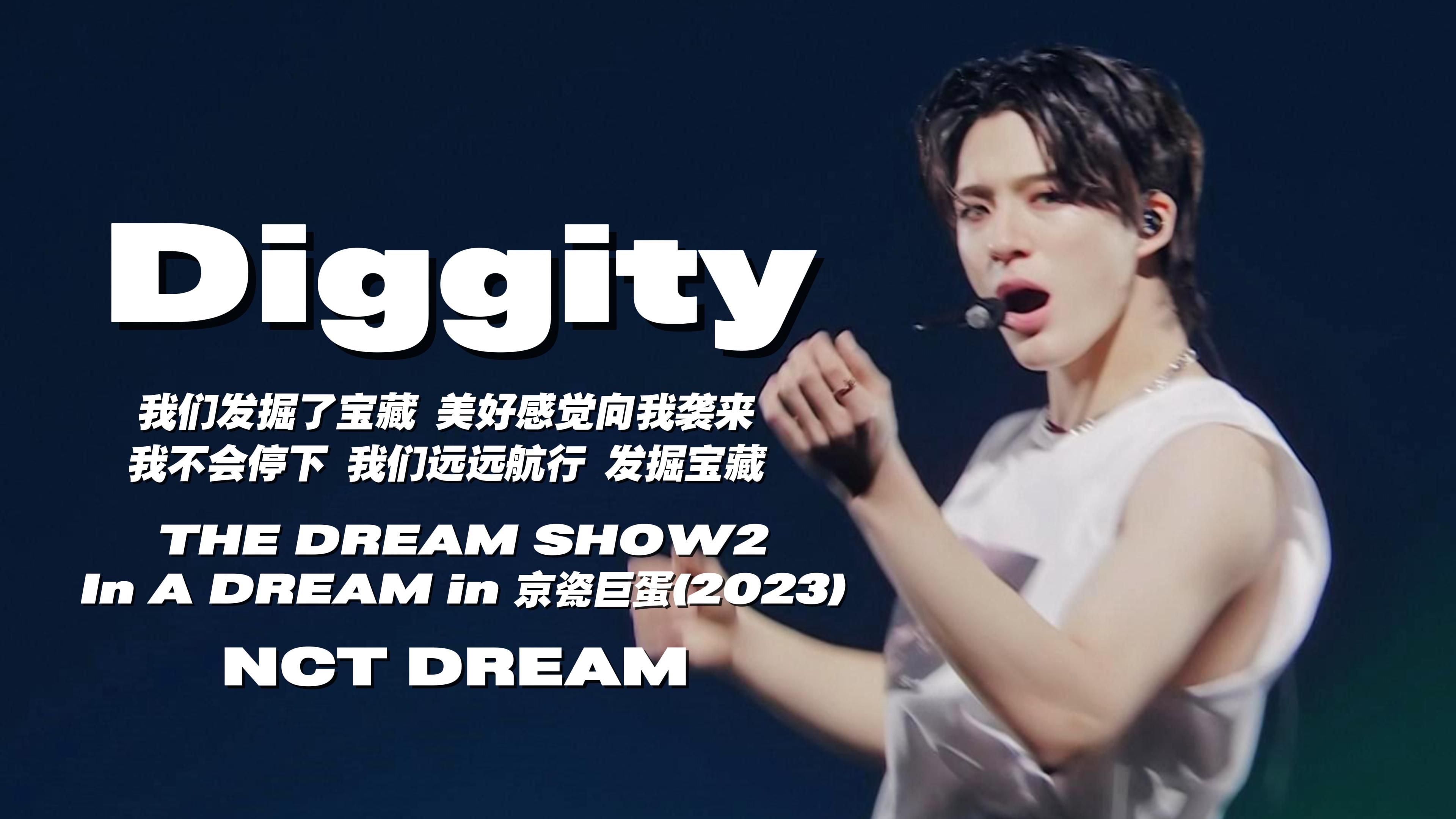 【NCTDREAM】多巴胺歌曲思考回潮——Diggity到底是什么意思？丨“我不会停下 我们远远航行 无比兴奋 发掘宝藏🌠”《Diggity‌》梦秀Ⅱ--imleaf---imleaf--哔哩哔哩视频
