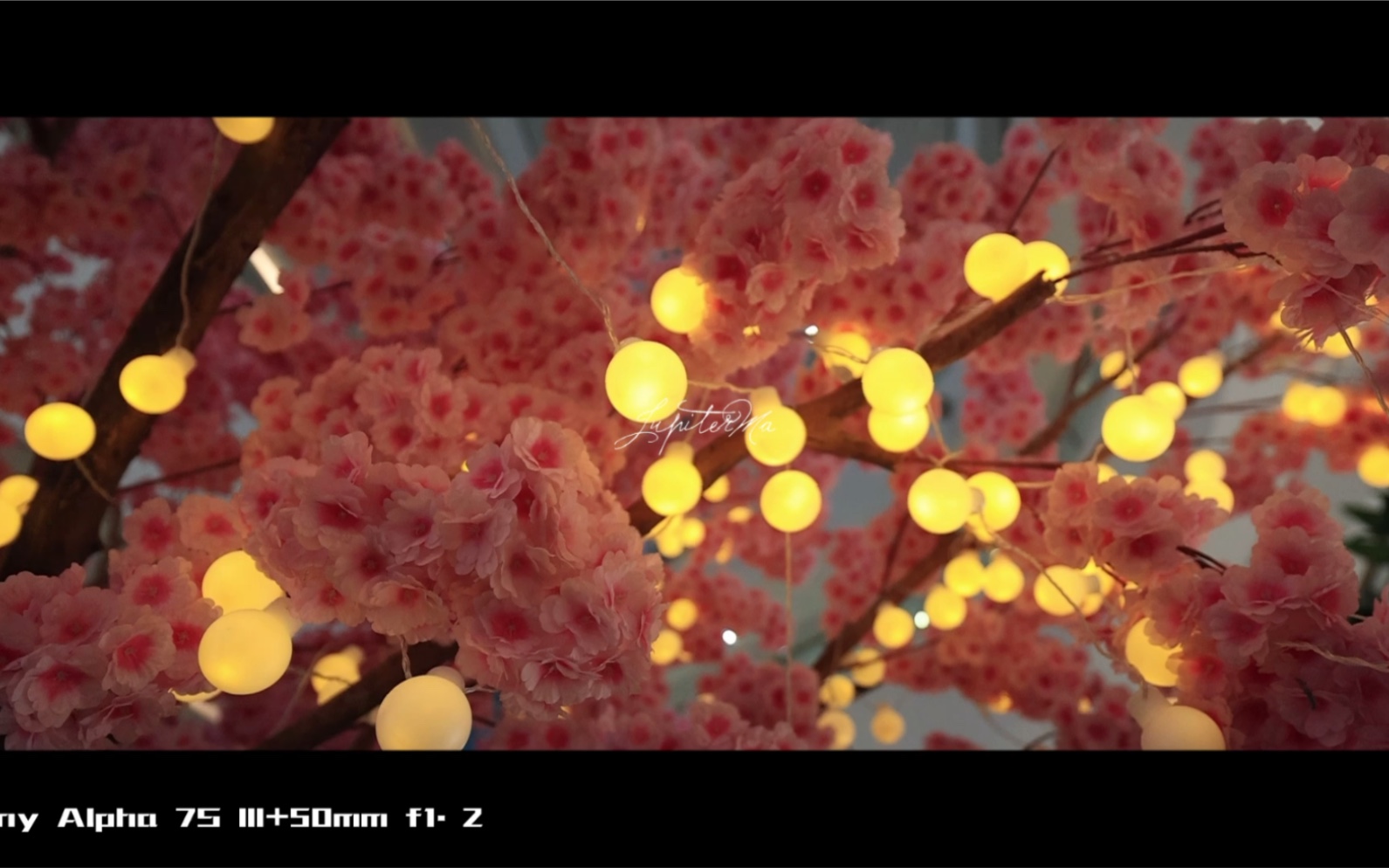 罍街～～索尼A7S3测试。。有点压缩了_哔哩哔哩_bilibili