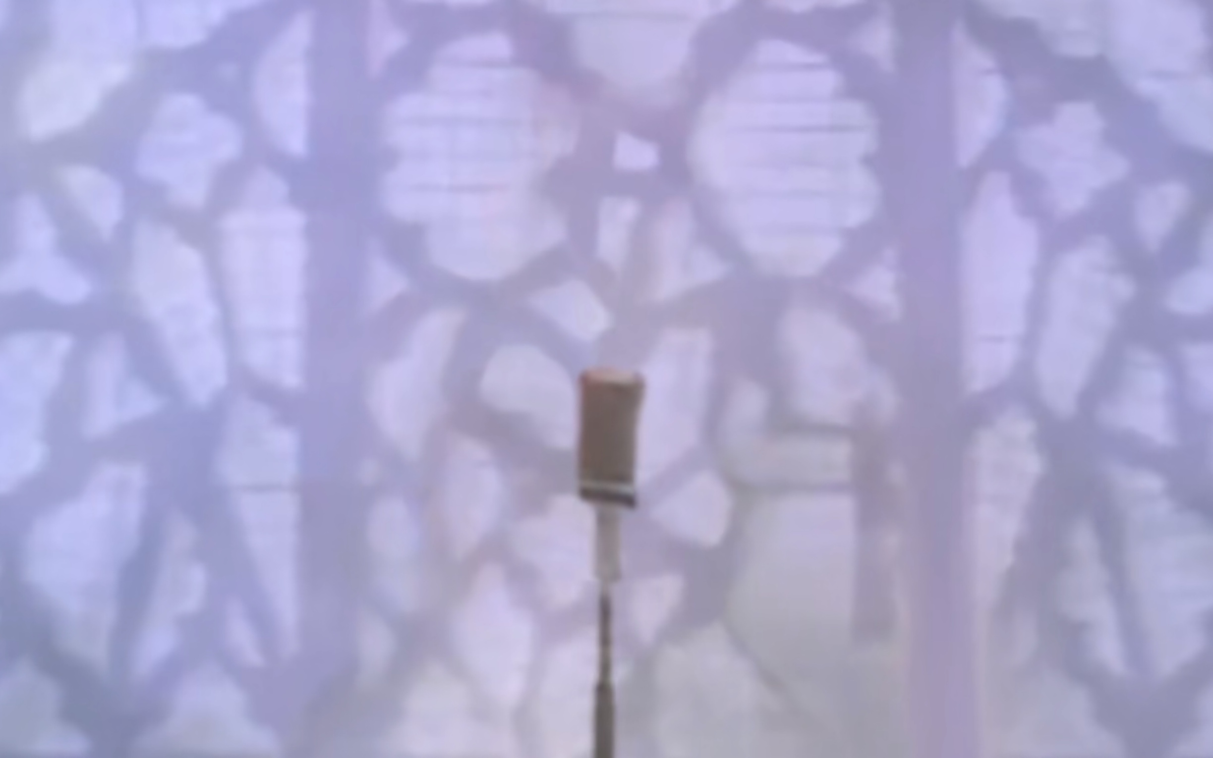 b23.tv/av80433022 展开_哔哩哔哩_bilibili