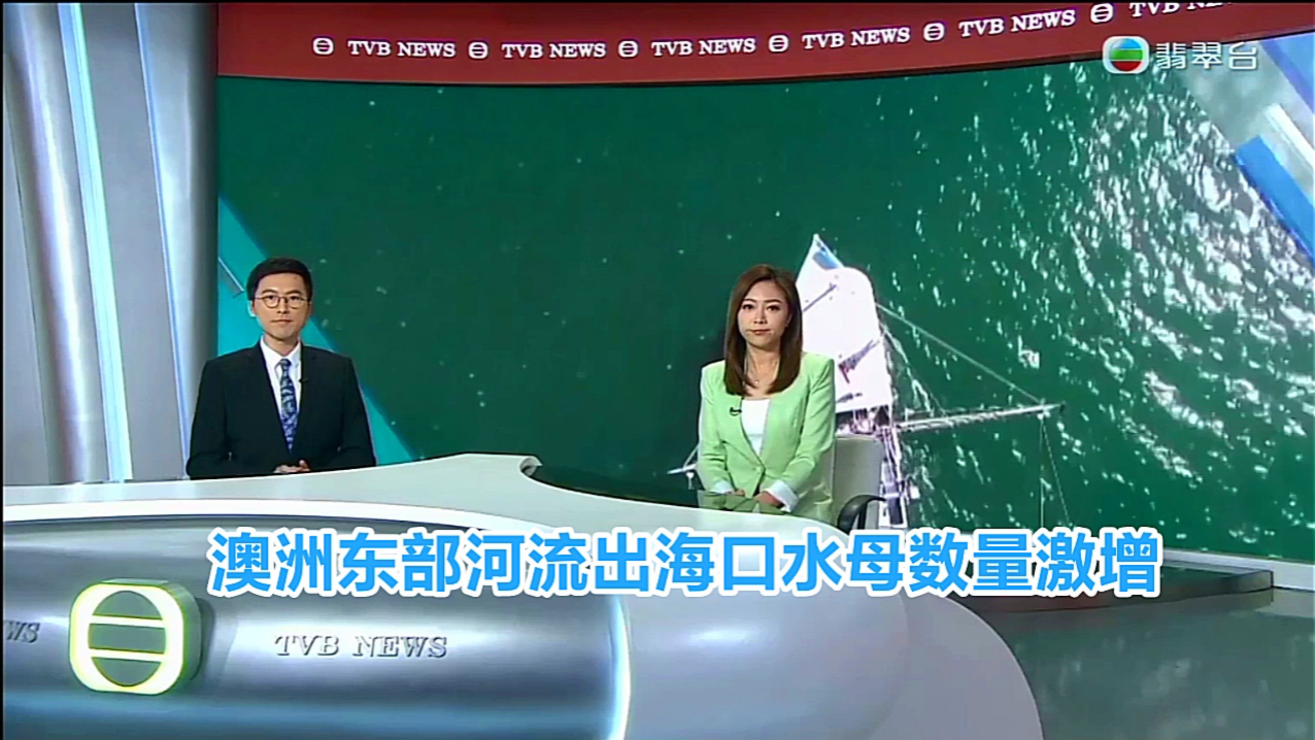 【TVB翡翠台】六点半新闻:澳洲东部河流出海口水母数量激增-容瑞兴-容瑞兴-哔哩哔哩视频