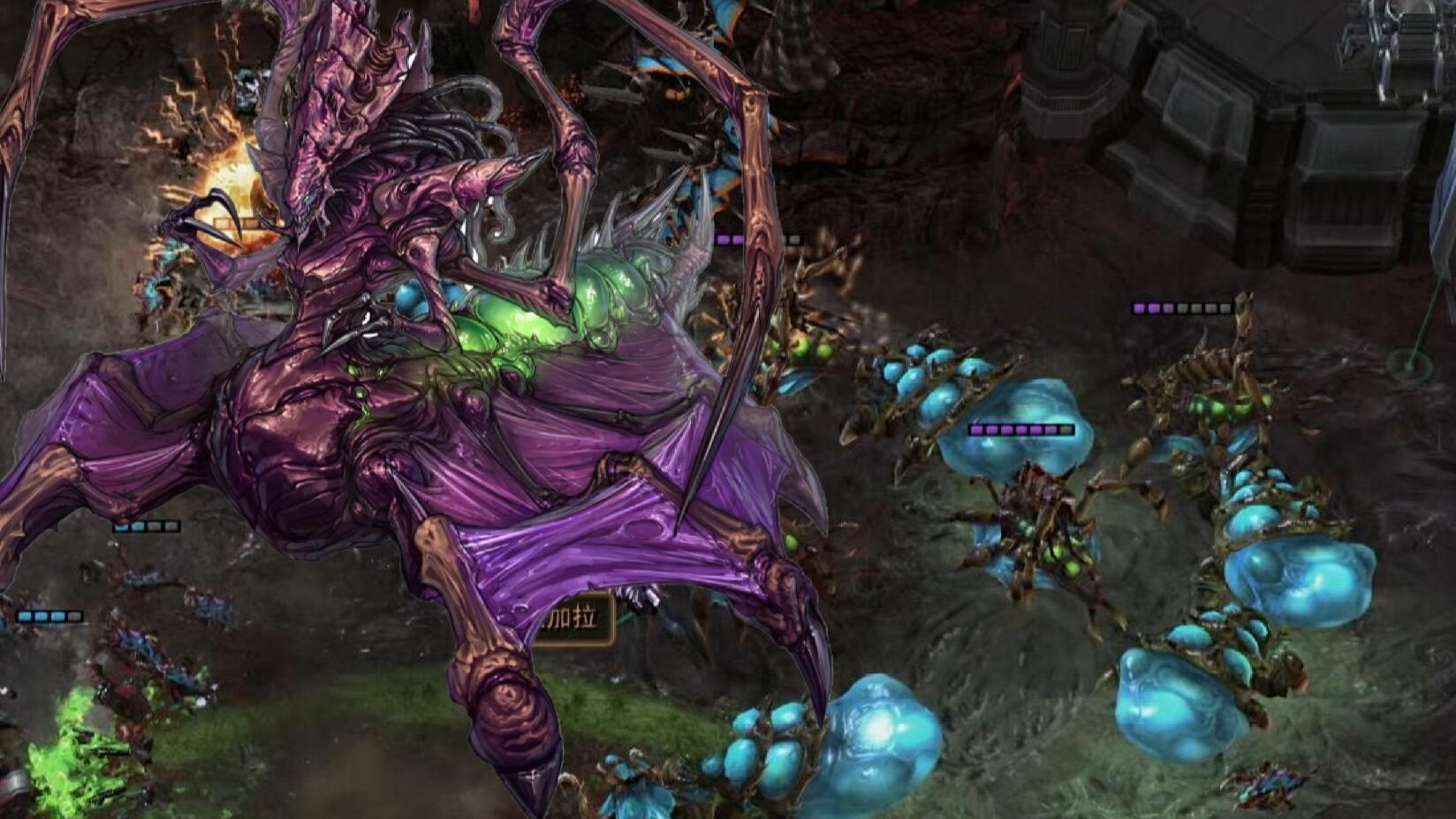 扎加拉培育了新品种的巨型毒爆！【重生虫群】05-SC2绝迹-SC2绝迹-哔哩哔哩视频