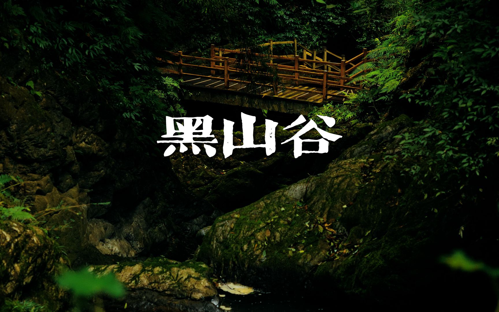 万盛黑山谷｜松下G9_哔哩哔哩_bilibili