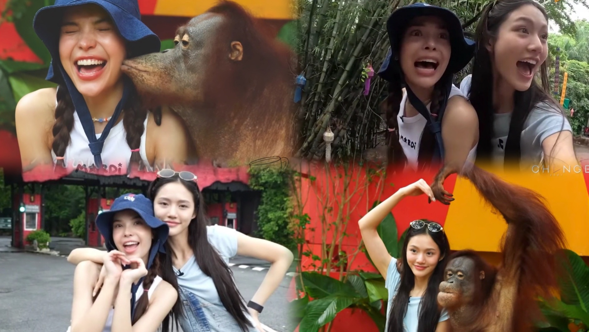 【LMSY】骑大象历险记，被红毛星星袭胸 Secert Vlog EP3 中字 250605-freegogo0-LMSY的真情世界-哔哩哔哩视频