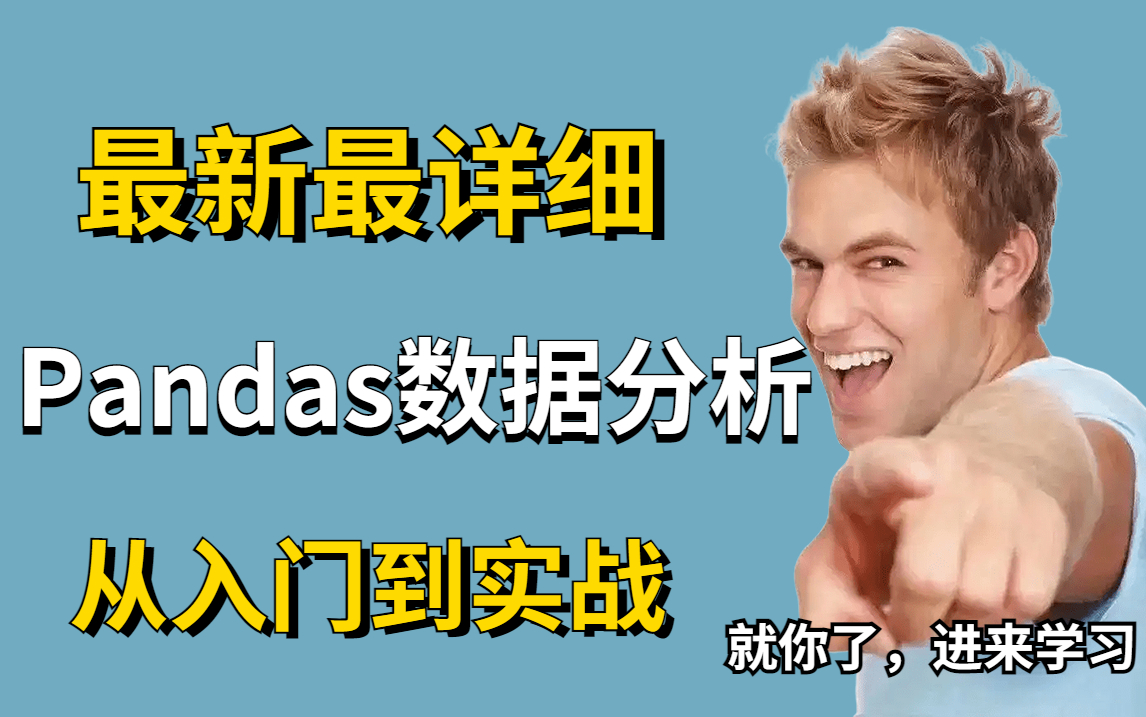这才是b站讲得最好的python教程，数据分析处理库—pandas 从入门到实战全套！ Python小行家 Python小行家 哔哩哔哩视频