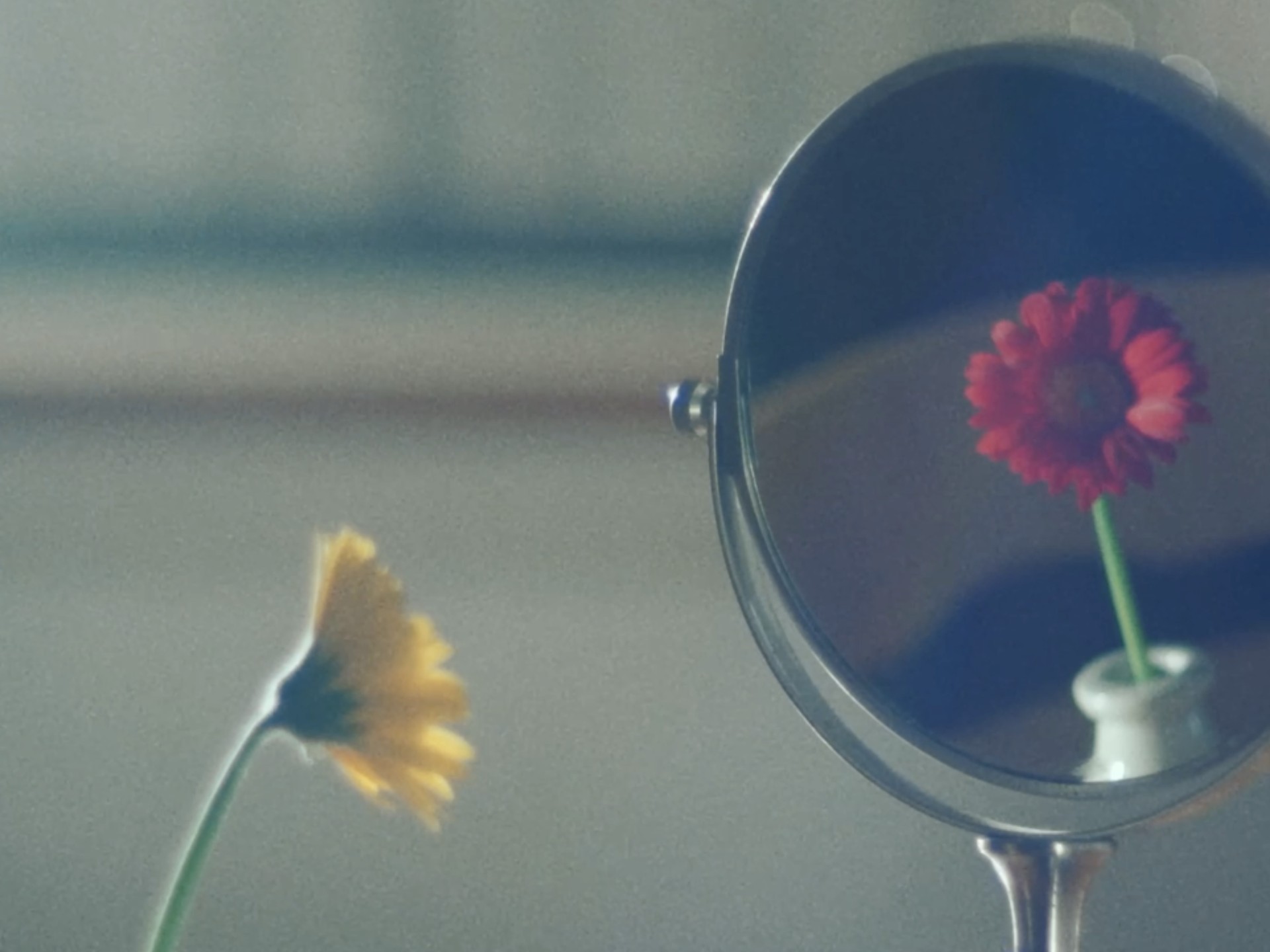 【あたらよ / 可惜夜】忘愛 /忘爱 MV 预告，明晚19点发布正片-atarayo_official-atarayo_official-哔哩哔哩视频