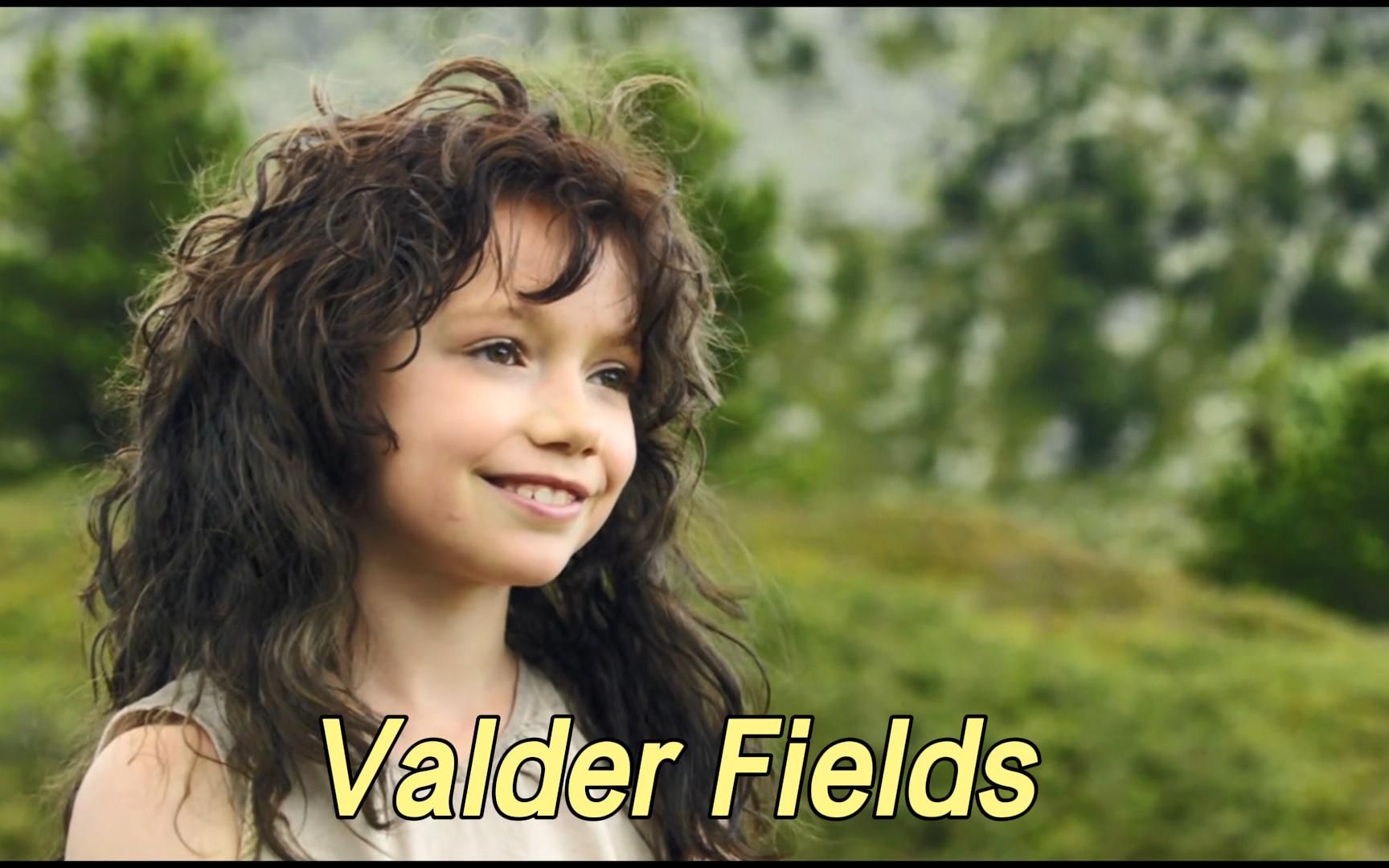 轻松明朗的曲风，美妙至极，让人如同站在天堂上慢慢享受着时光《Valder Fields》-沐沐音悦-沐沐音悦-哔哩哔哩视频