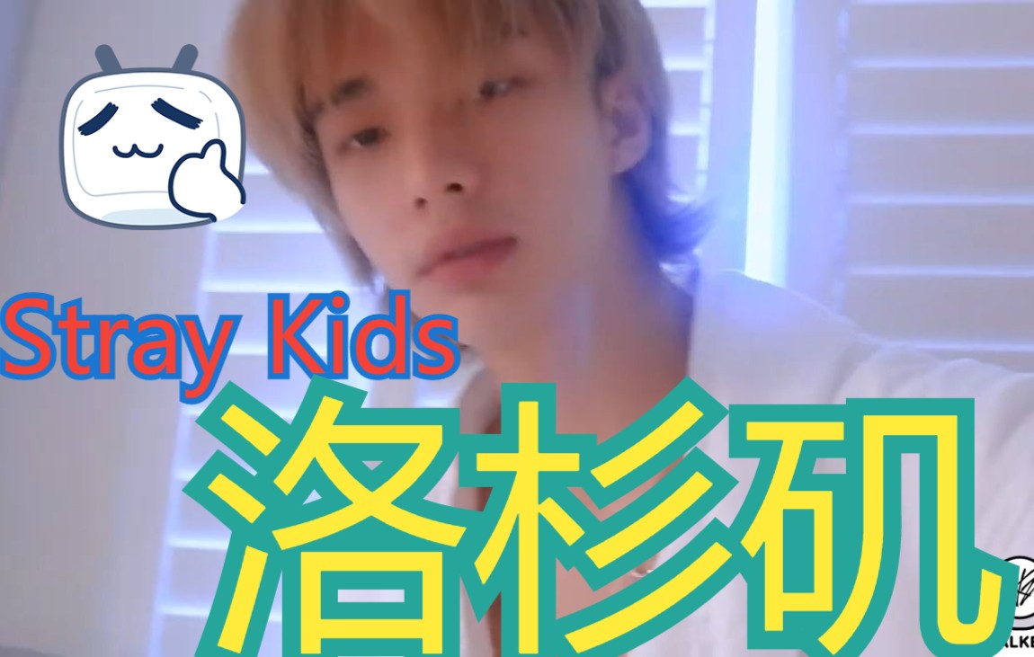 【Stray Kids】-Stray Kids SKZ-TALKER GO- Season 3- Ep.05 LOS ANGELES洛杉矶_哔哩哔哩_bilibili