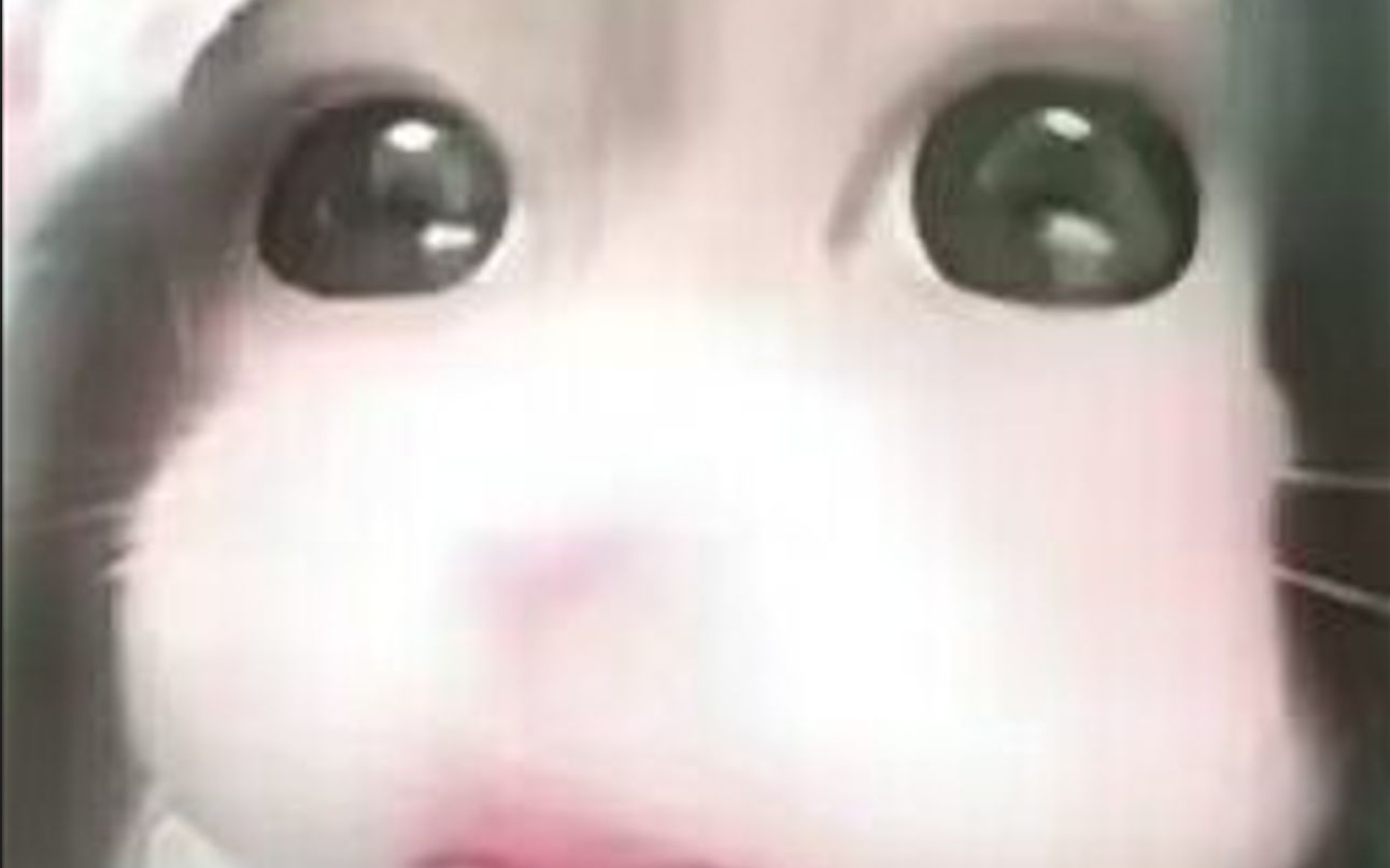 level 114514.19 不想撅死就赶紧跑！！！-开朗的网友DBS-歌曲-哔哩哔哩视频