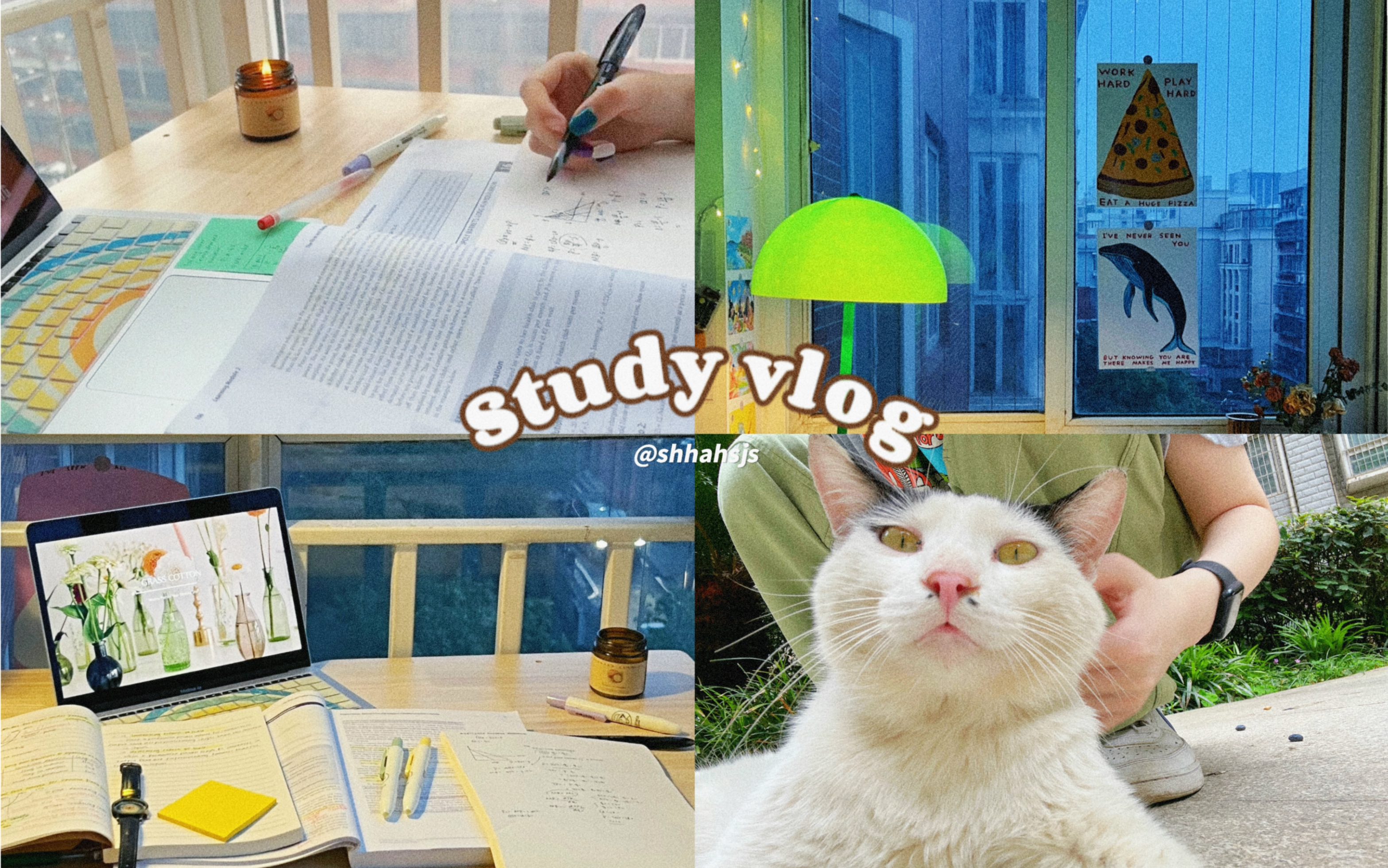 Study vlog｜在武汉的夏天·跟着native speaker练口语·遛猫的快乐谁懂 ʘʚʘ-shhahsjs-shhahsjs-哔哩哔哩视频