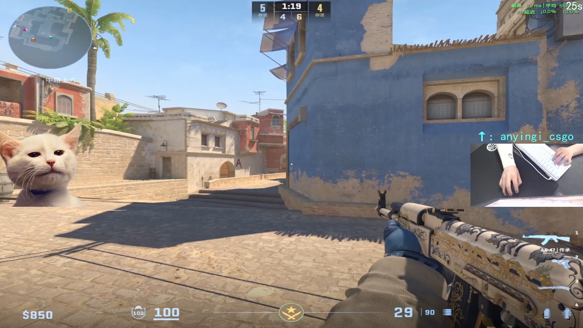 伊戈达拉-Anyingi_Csgo-Anyingi_Csgo-哔哩哔哩视频