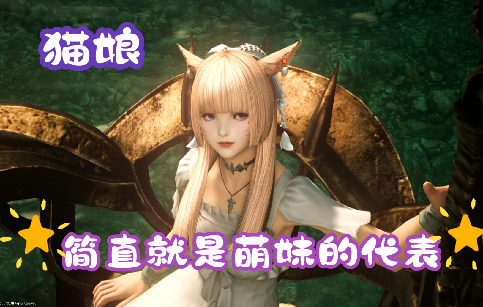 【FF14】猫娘的百万直拍，战斗职业LB/个人向