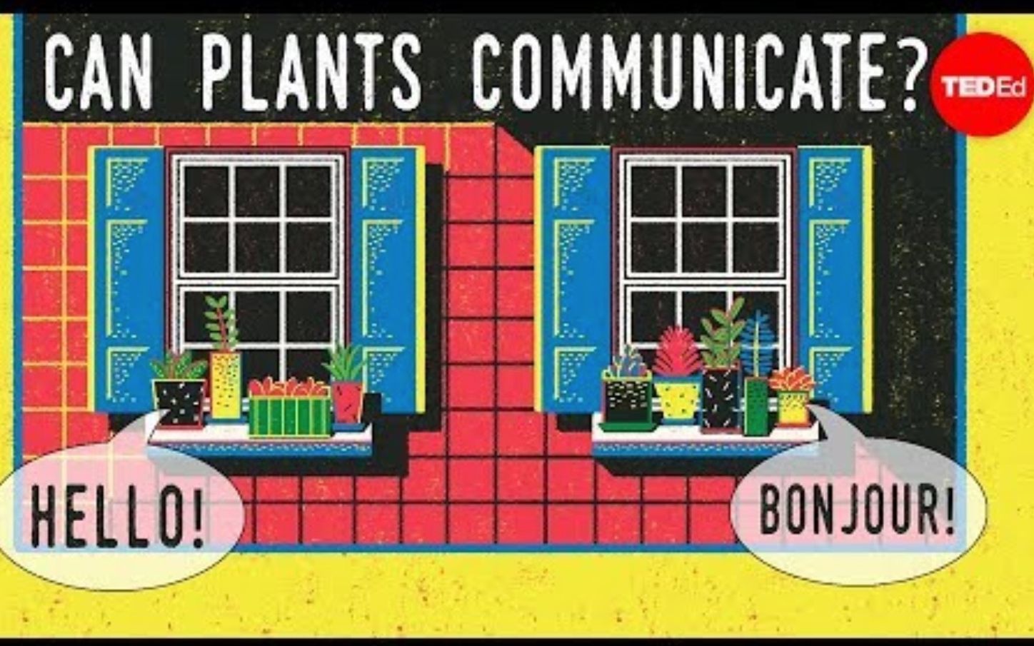 【Ted-ED】植物能互相交流吗 Can Plants Talk To Each Other_哔哩哔哩_bilibili