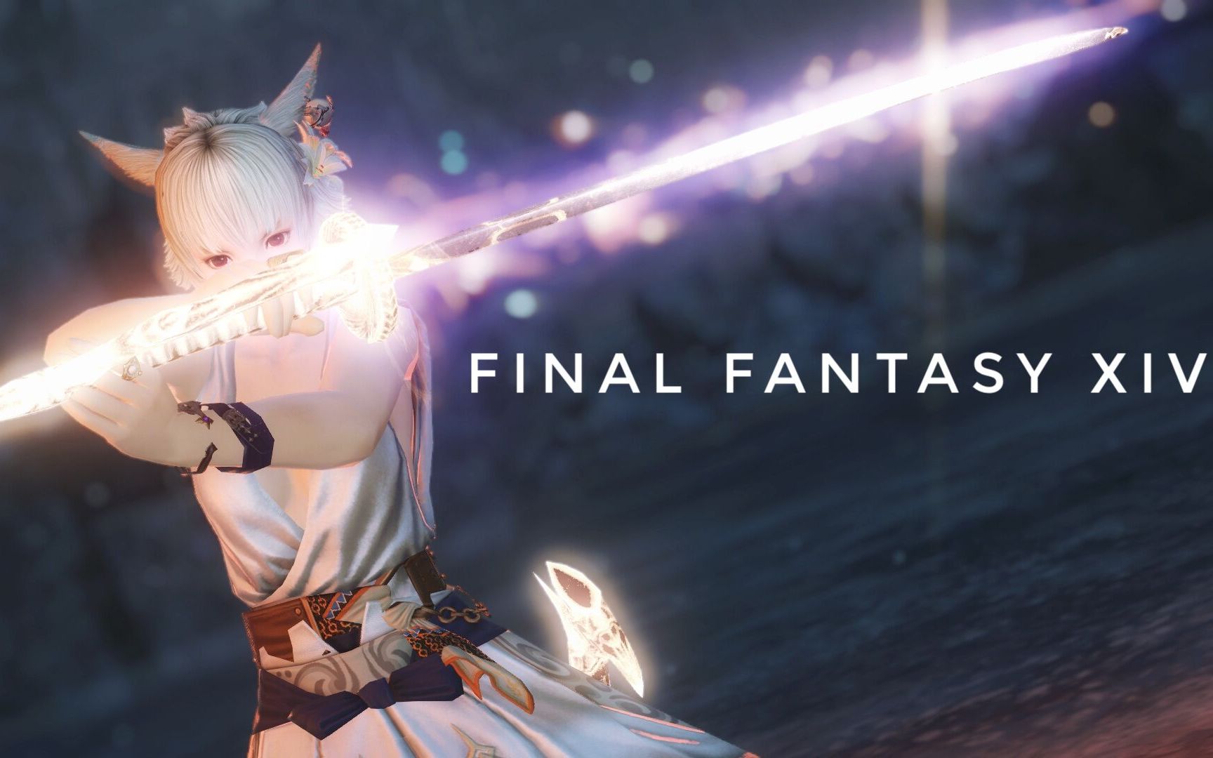 【FF14】全近战E9S-E12S贪贪细节_哔哩哔哩_bilibili