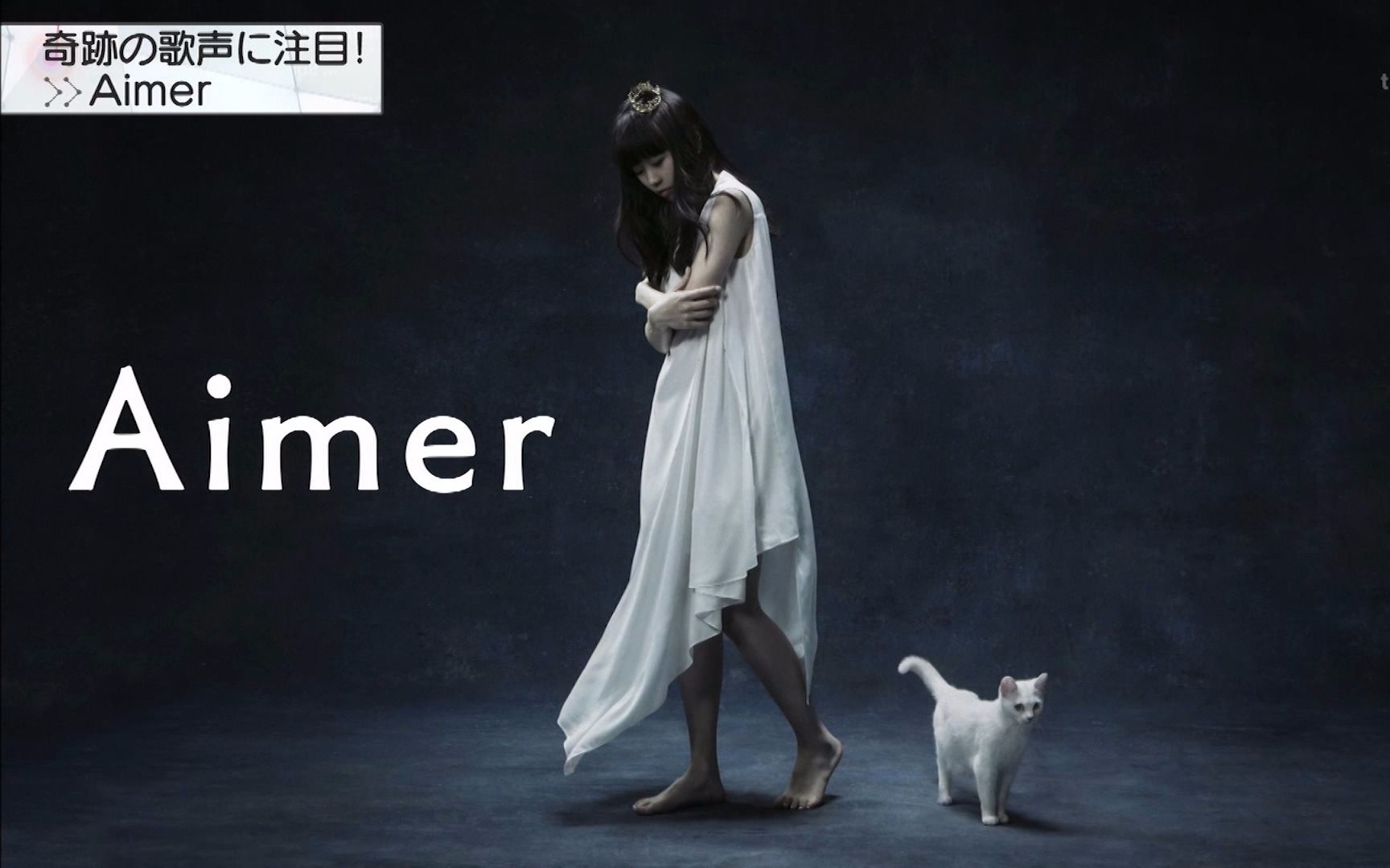 aimer图片壁纸-千图网