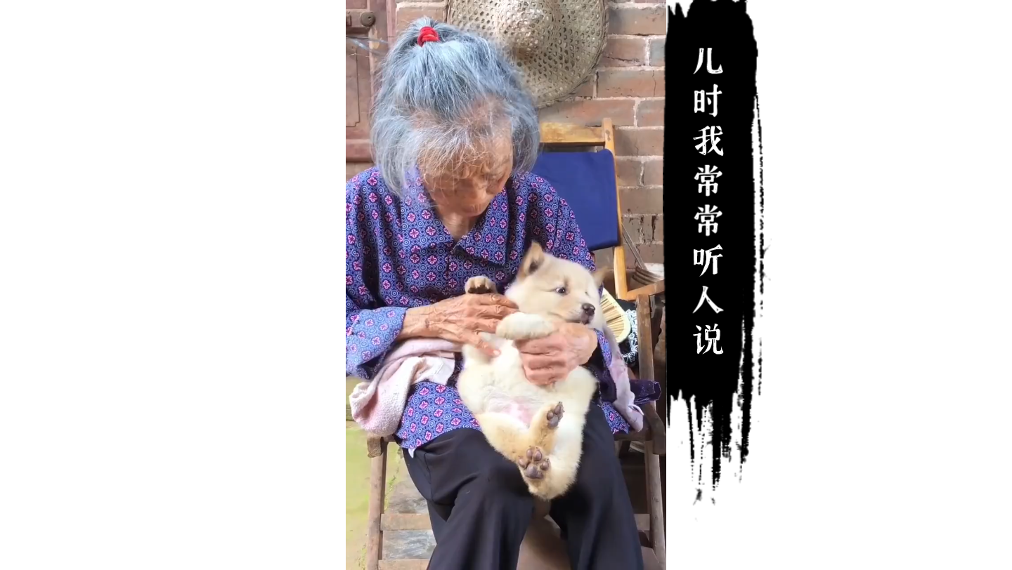 你敢信吗?用一首歌唱尽中华上下五千年,句句都是历史,太厉害了 天龙梦日星 战歌 哔哩哔哩视频