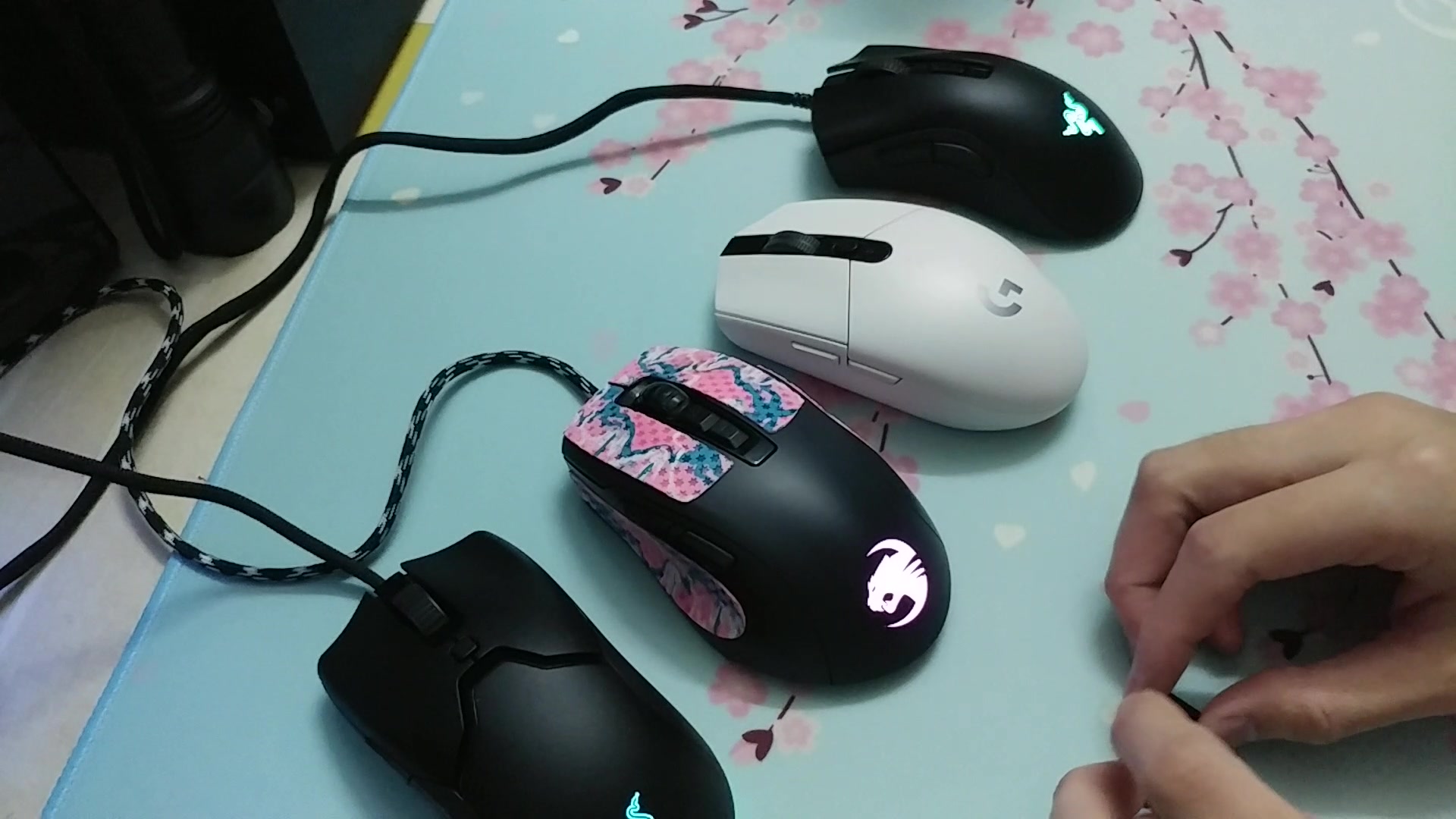 小手鼠标推荐 冰豹66豹、毒蝰迷你真香，g304还是太重了，蝰蛇迷你按键拉胯_哔哩哔哩_bilibili