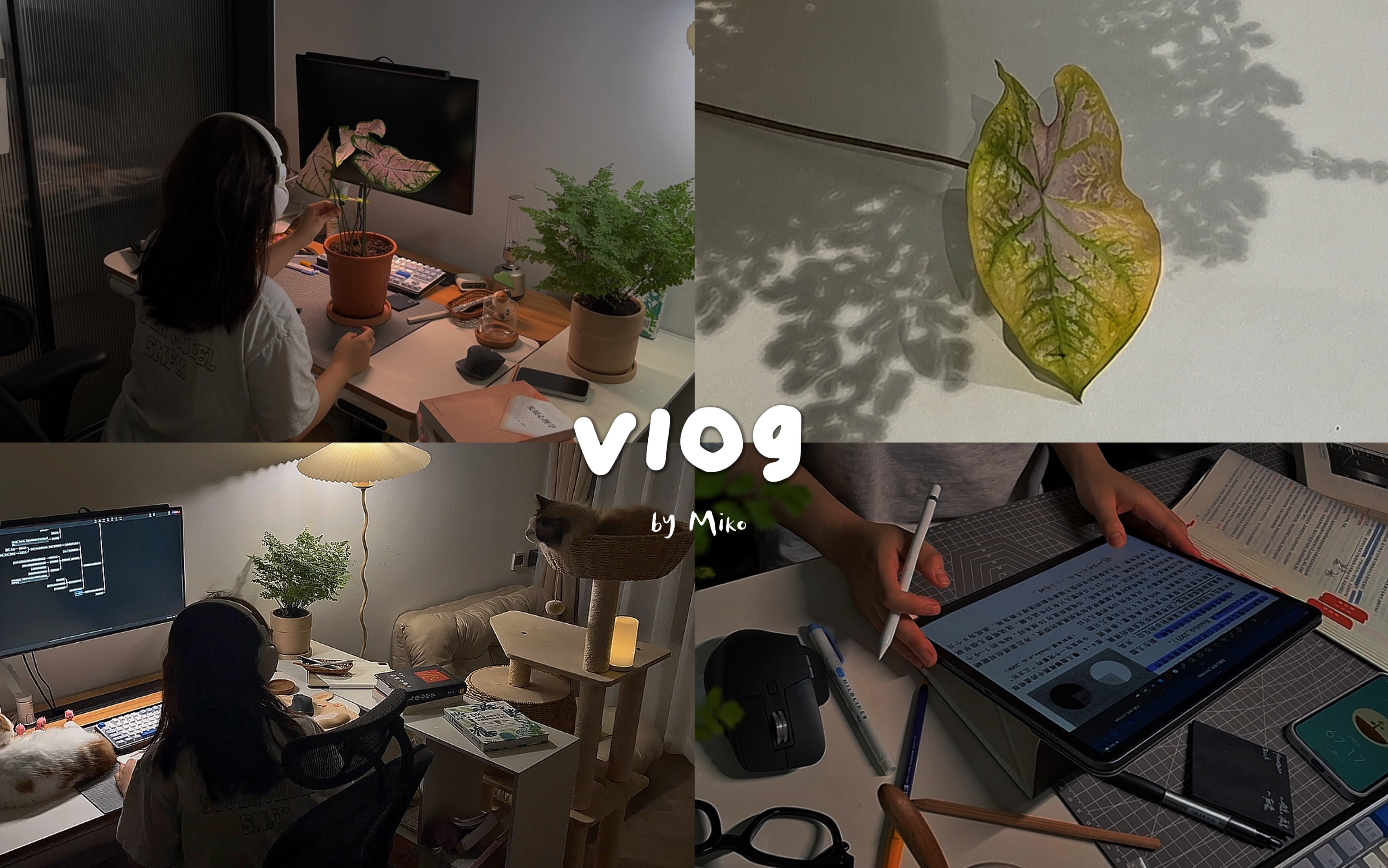 VLOG｜分享INFJ的晚间｜挂掉的芋叶依旧美丽｜生活碎片捕捉-一只miko子-一只miko子-哔哩哔哩视频