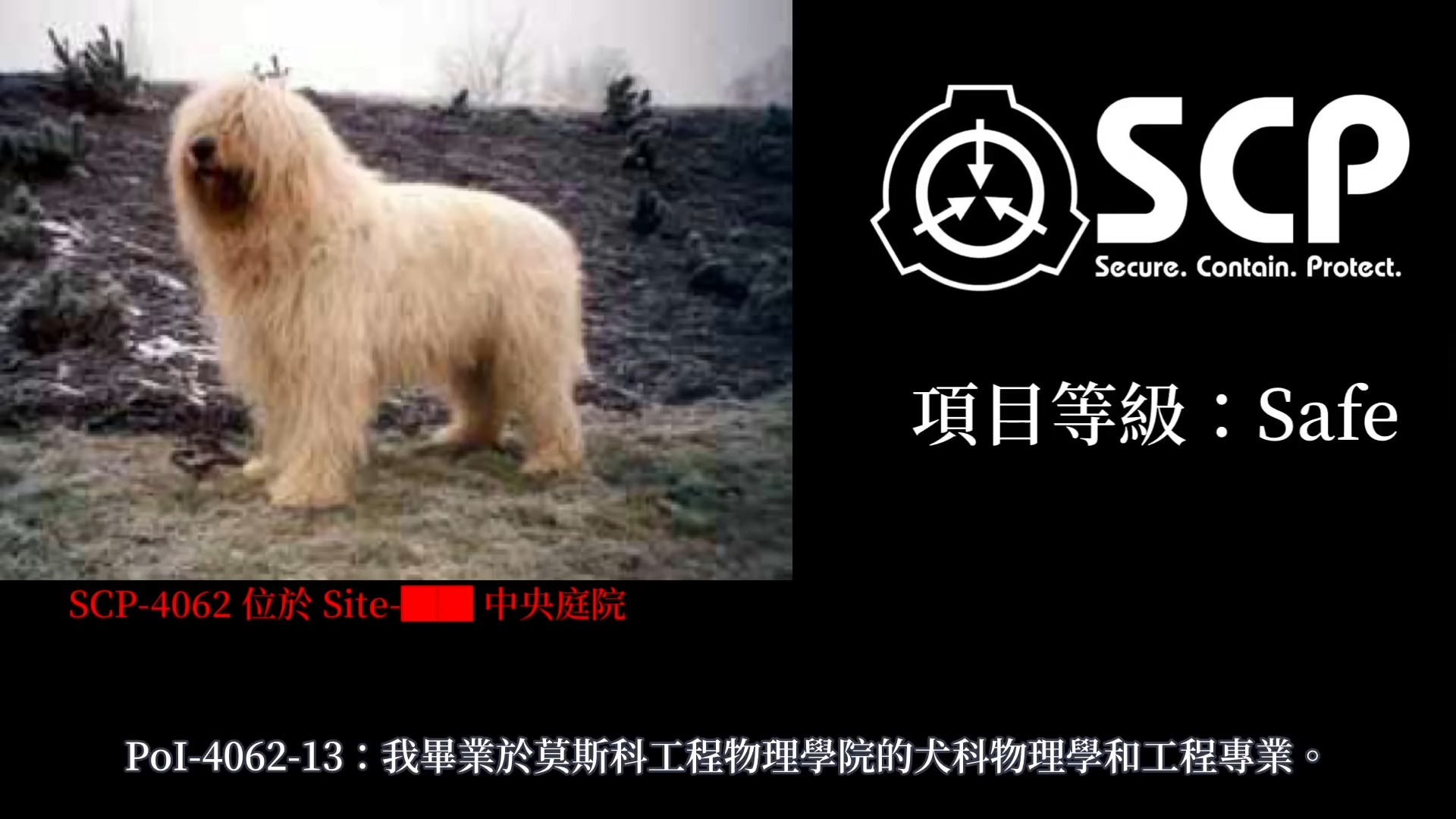 【SCP基金会】SCP-4062 湿湿小狗-爱吃菌子的Alex-爱吃菌子的Alex-哔哩哔哩视频