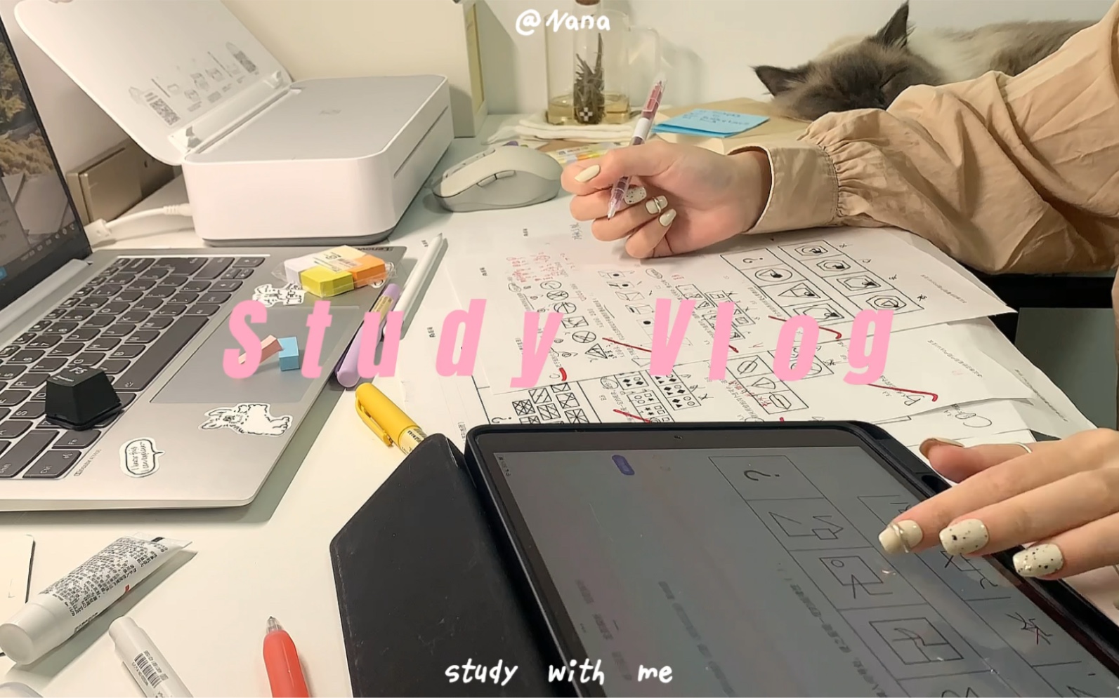 Study Vlog｜study with me｜晚间学习日常｜猫咪伴学｜宅家学习日常｜考编日记｜打印自由-Nana日记-Nana日记-哔哩哔哩视频