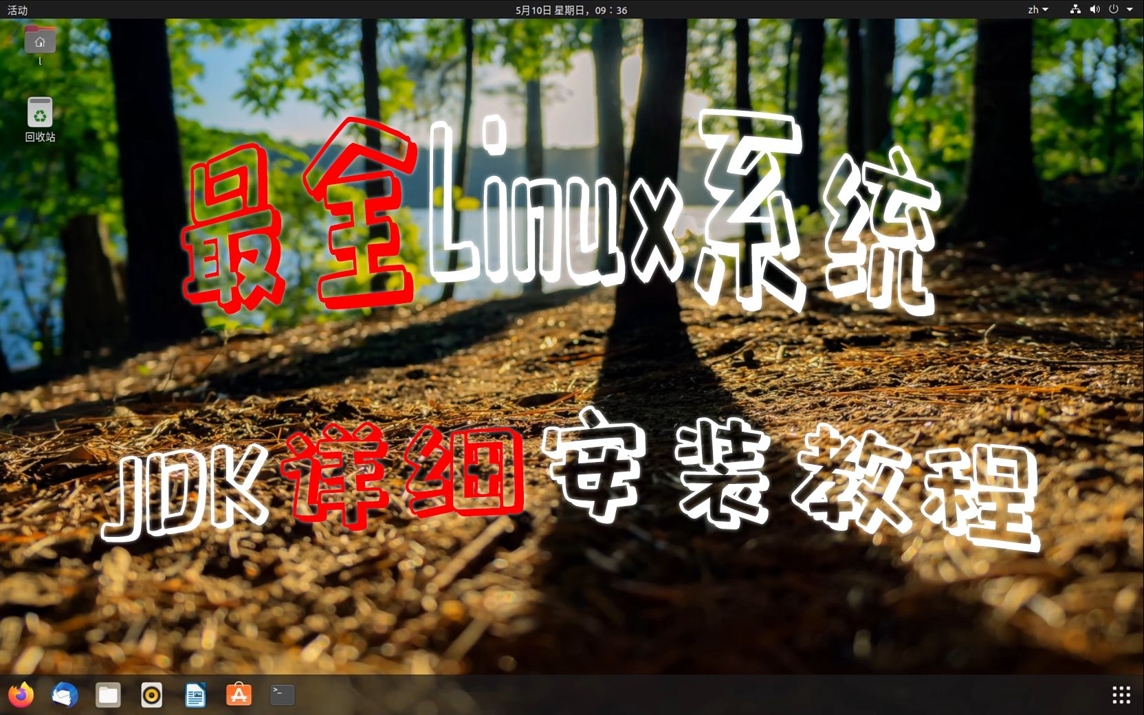 最全Linux系统JDK安装教程_哔哩哔哩_bilibili