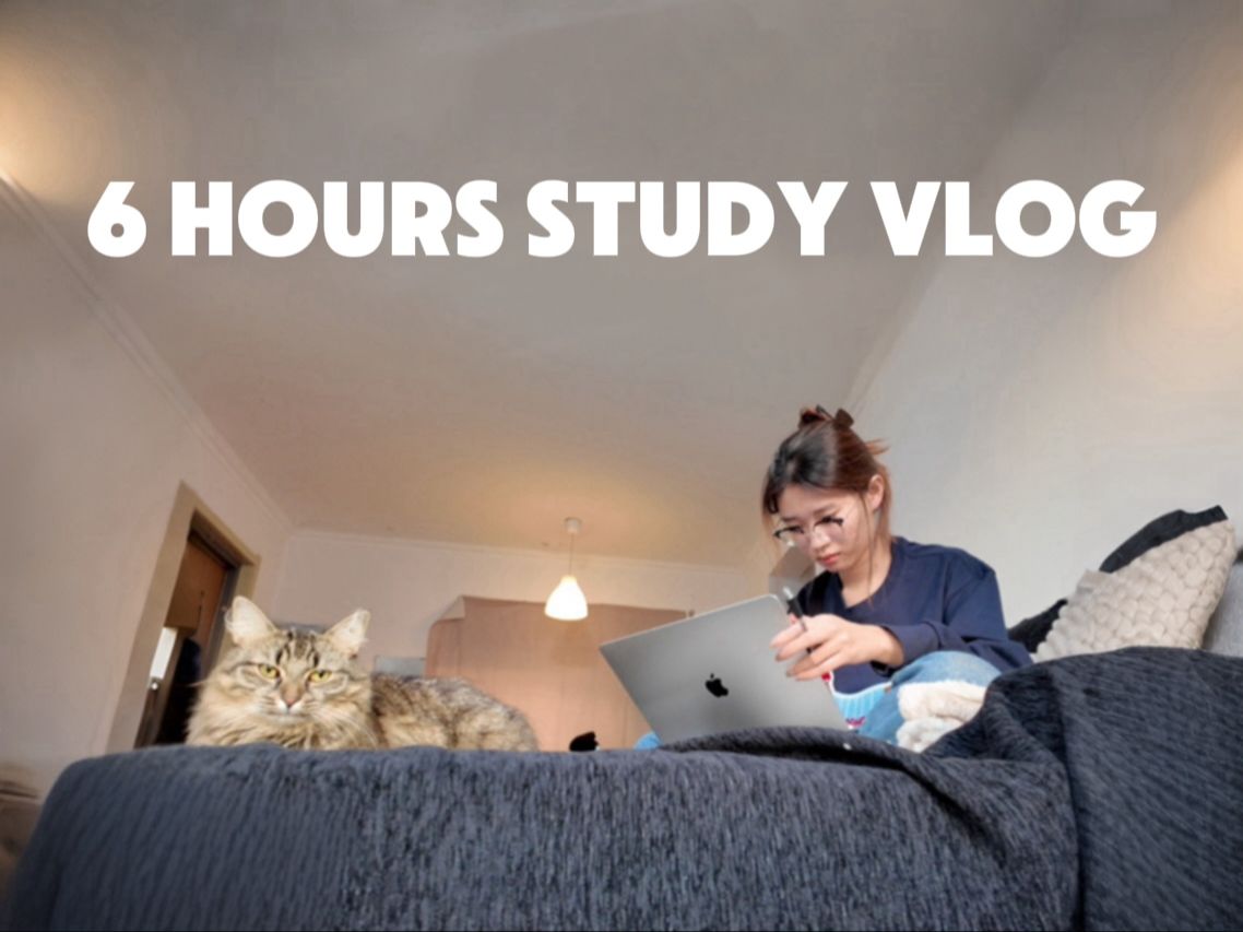 study vlog|学习6h+*5am起床然后困晕的一天-栗子多加辣-栗子多加辣-哔哩哔哩视频