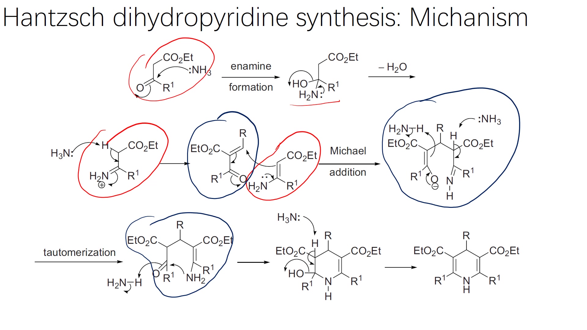有机人名反应（128）：Hantzsch dihydropyridine synthesis_哔哩哔哩_bilibili