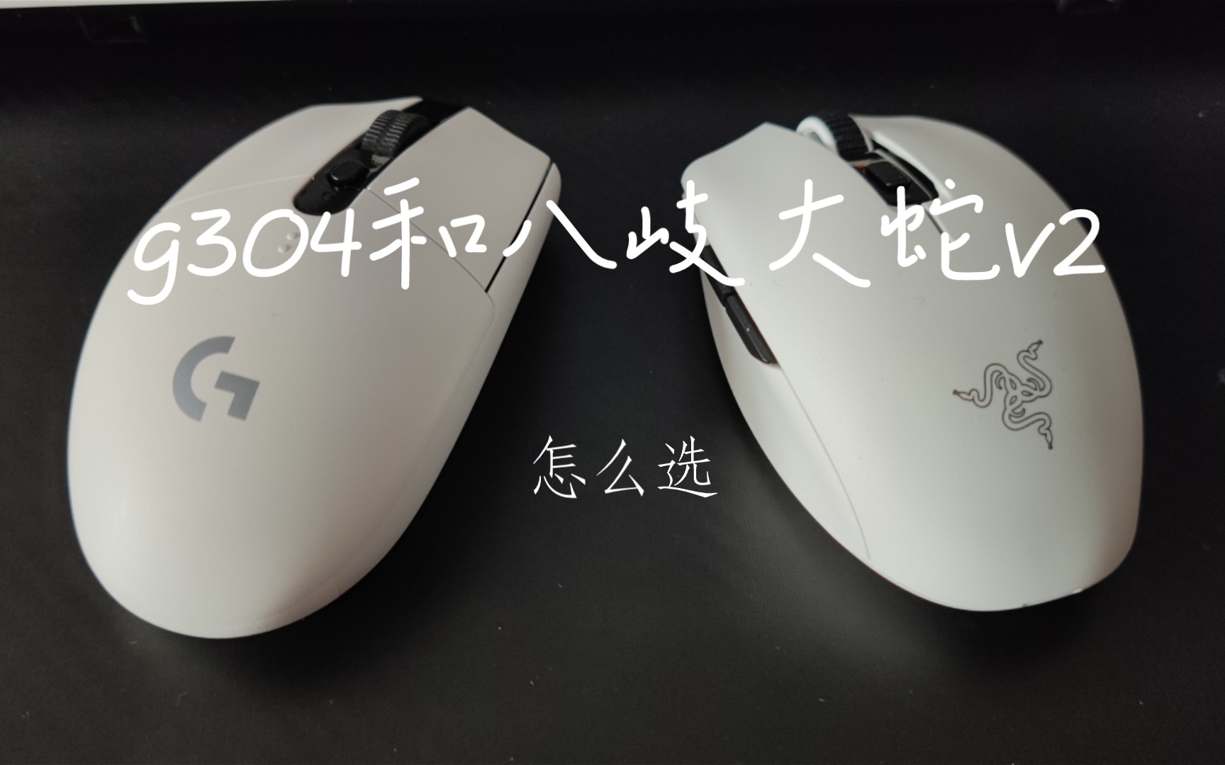 g304和八岐大蛇v2怎么选_哔哩哔哩_bilibili