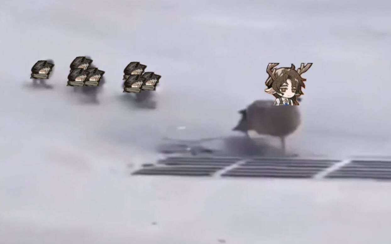 拉特兰刁民在空想花庭be Like: 急尘ngu 急尘ngu 哔哩哔哩视频