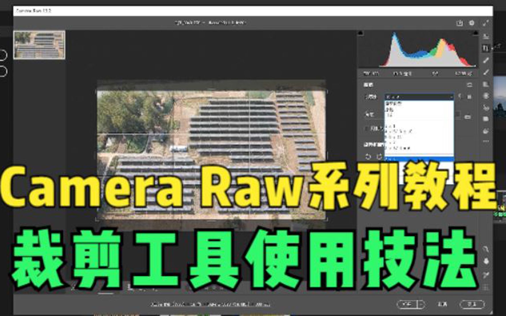 Camera Raw系列教程，ACR裁剪工具的功能，裁剪工具使用技法_哔哩哔哩_bilibili