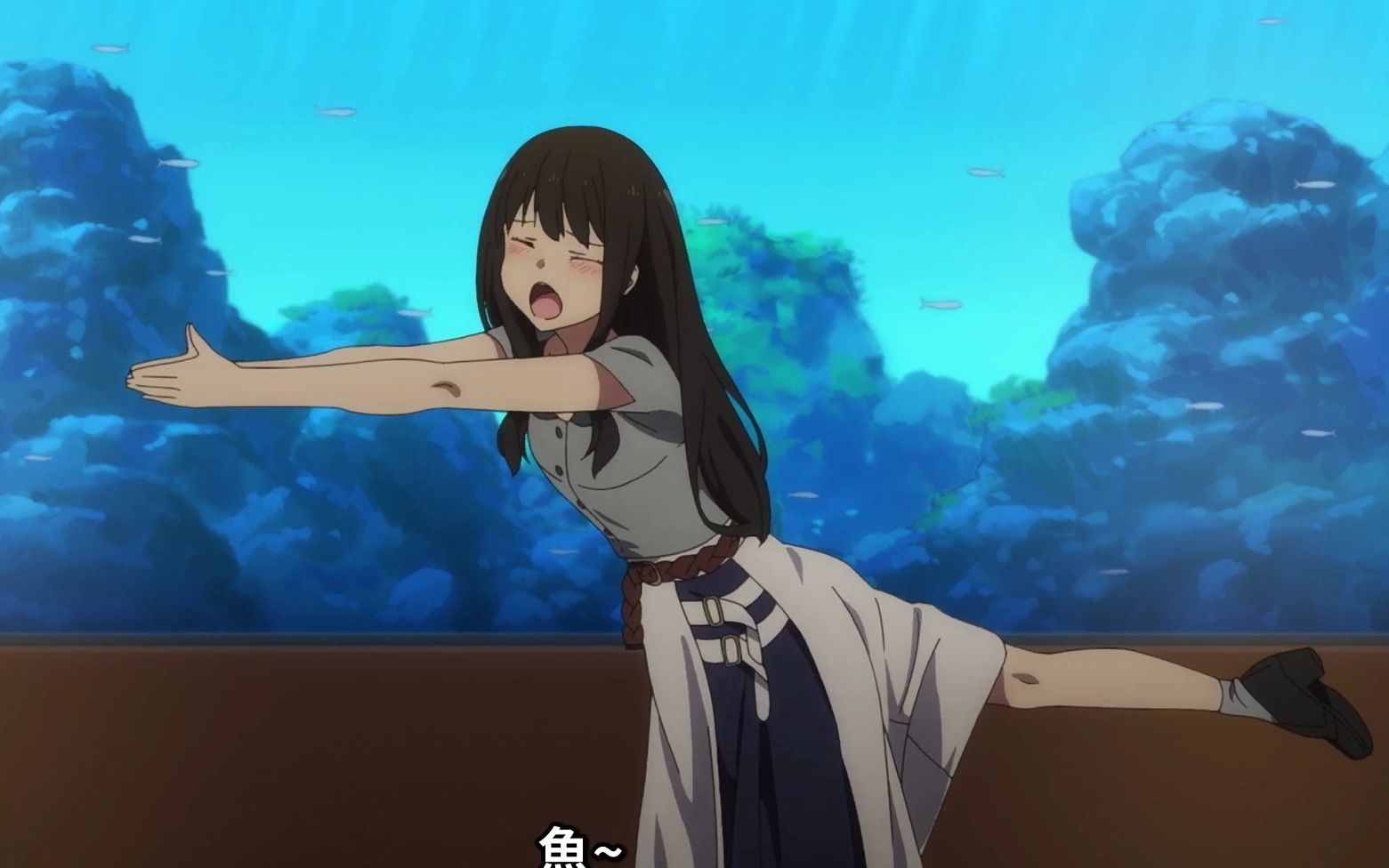 さかな!（sakana!）_哔哩哔哩_bilibili