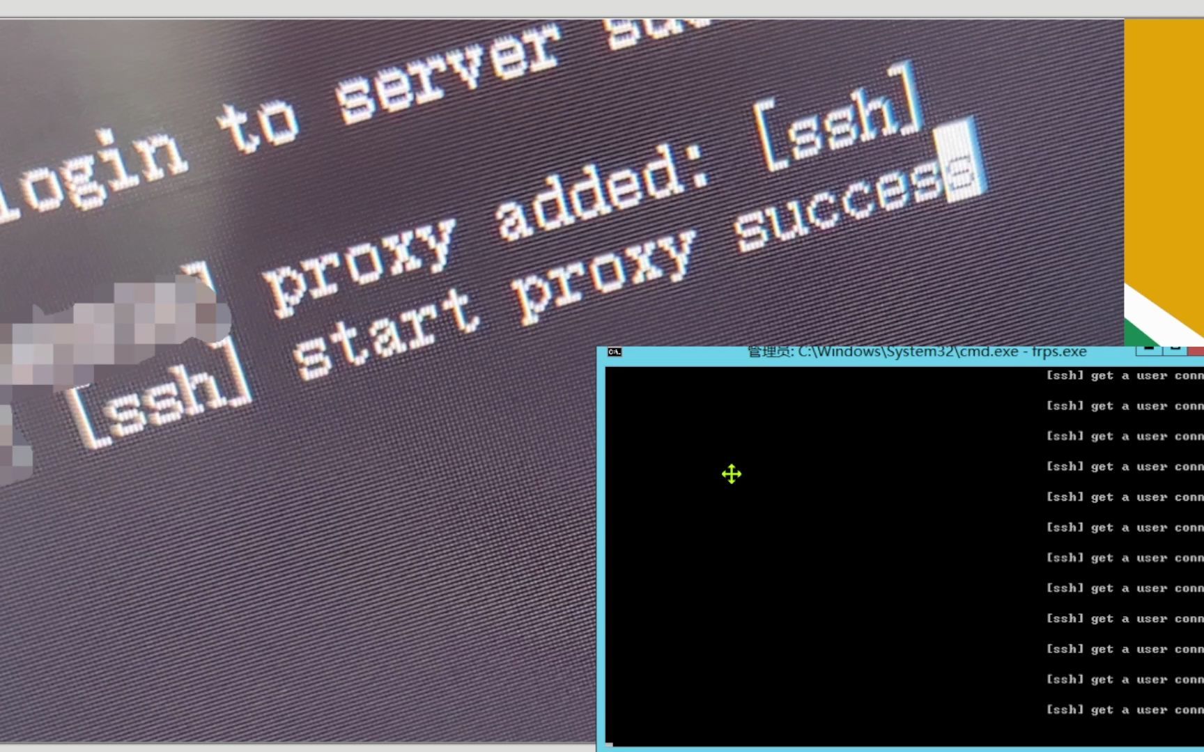 樱花SAKURA FRP免费内网穿透-Minecraft开服联机教程