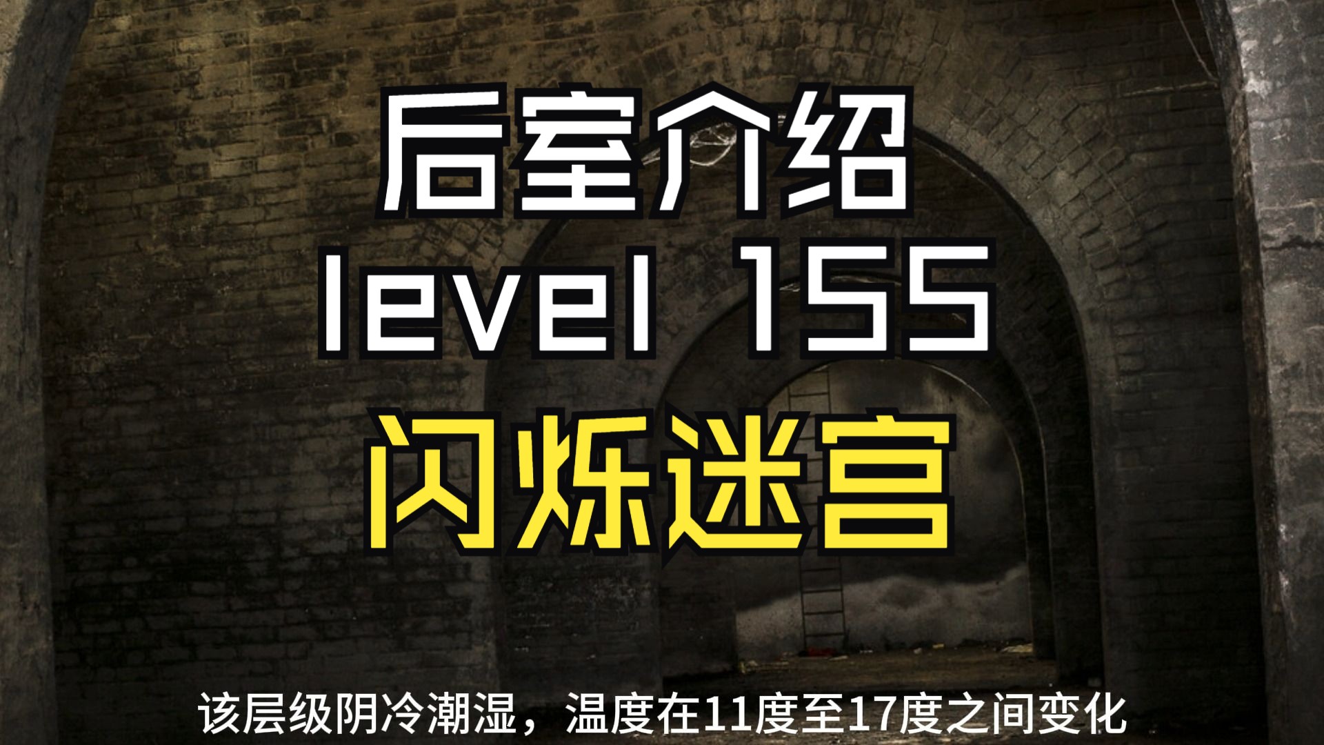 【Backrooms 后室】level 155 闪烁迷宫【介绍】-Gentry月半墙-Gentry月半墙-哔哩哔哩视频