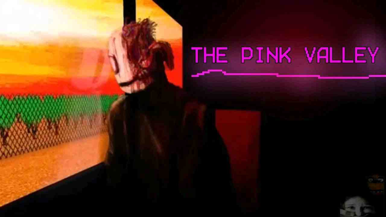 THE PINK VALLEY ¦ EDIT-记性差没办法-记性差没办法-哔哩哔哩视频