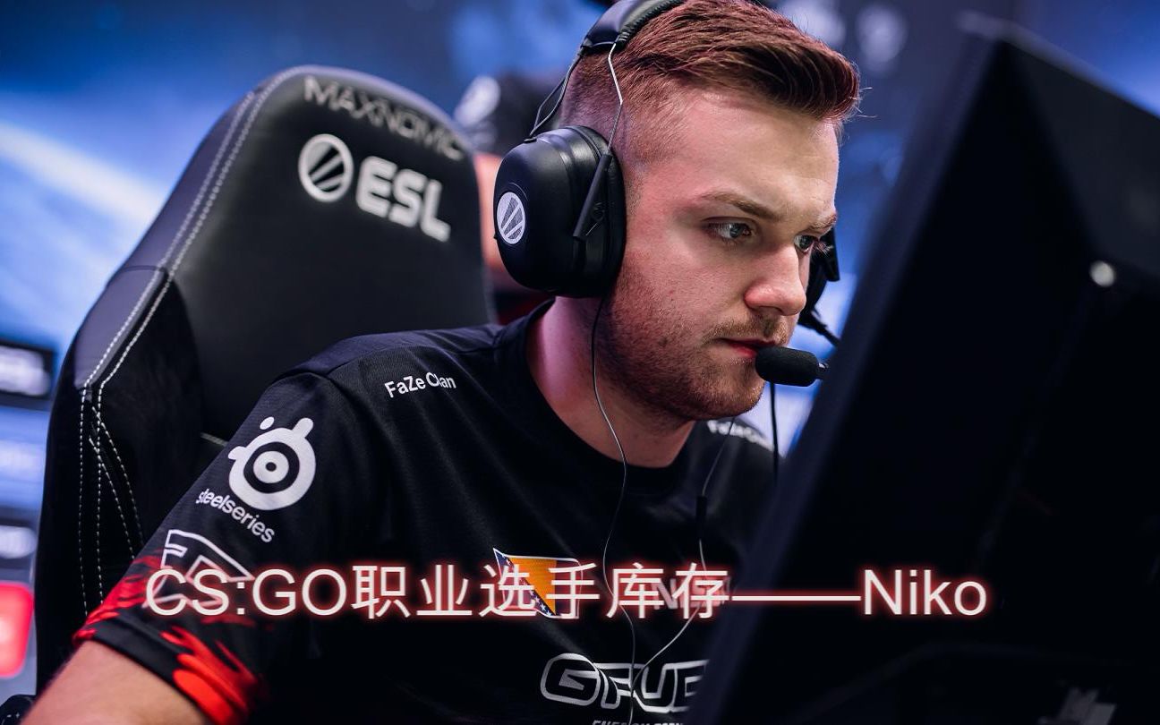CS:GO职业选手库存——Niko_哔哩哔哩_bilibili
