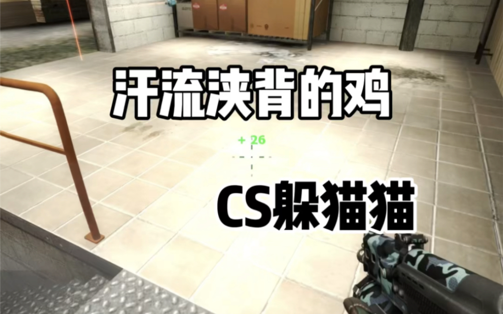 CSGO躲猫猫：？-禹辰OvO-禹辰OvO-哔哩哔哩视频