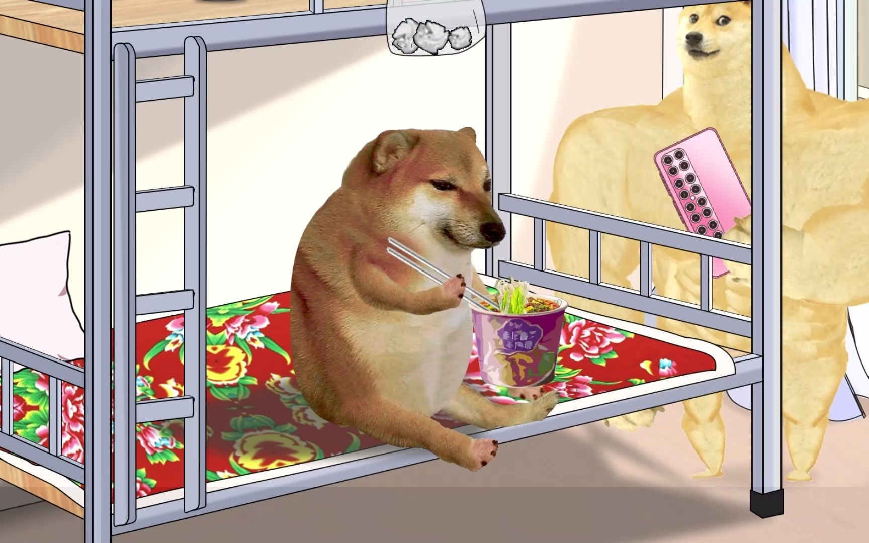 五 大 特 征-Cheems降临-Cheems降临-哔哩哔哩视频