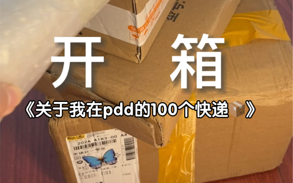 《关于我在pdd的100个刷子》_哔哩哔哩_bilibili
