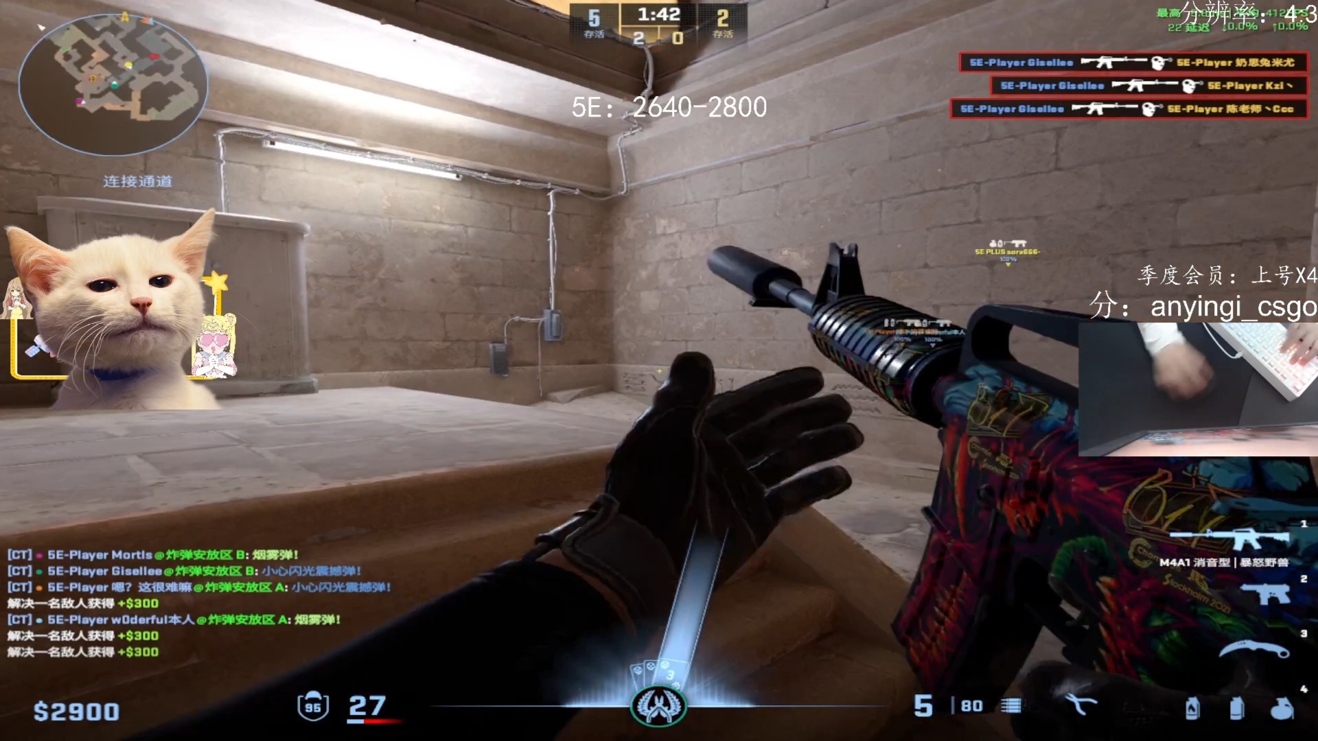 上号！-Anyingi_Csgo-Anyingi_Csgo-哔哩哔哩视频