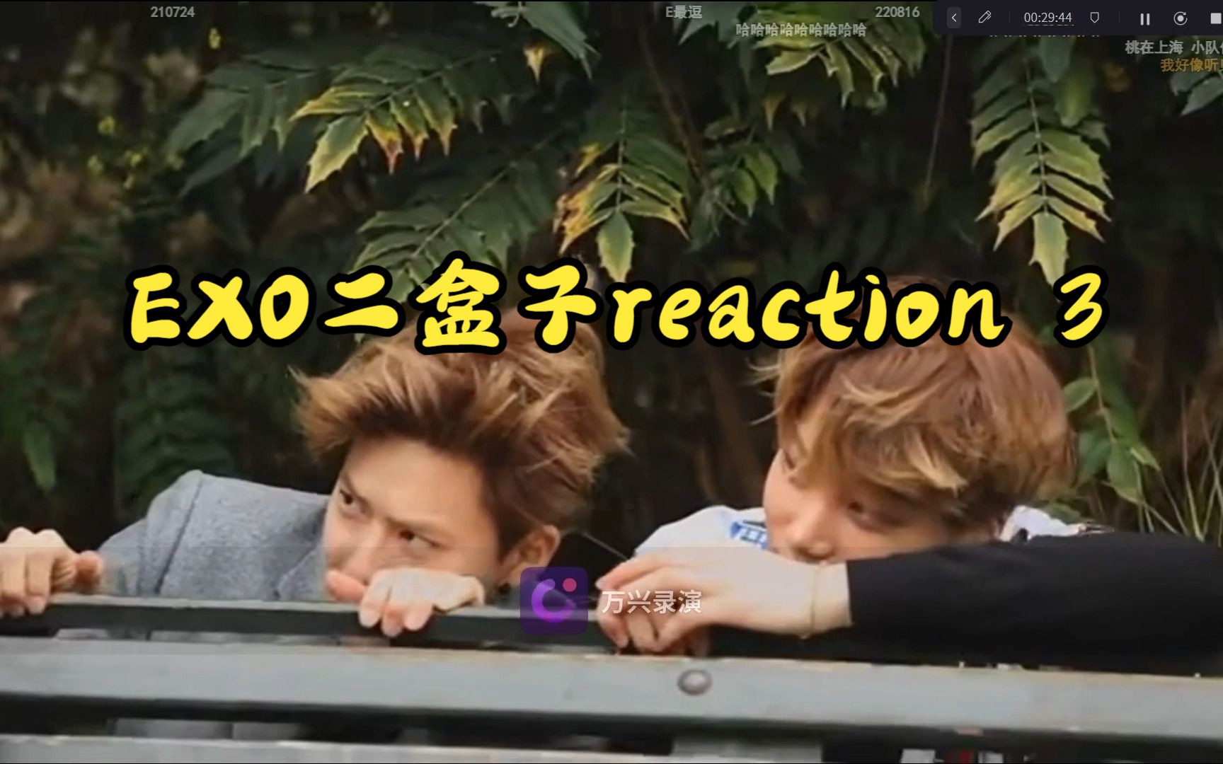 【EXO综艺reaction】早期9人综艺二盒子；大家有些憨，令人羡慕的发量-雯雯啊蚊纸-雯雯啊蚊纸-哔哩哔哩视频