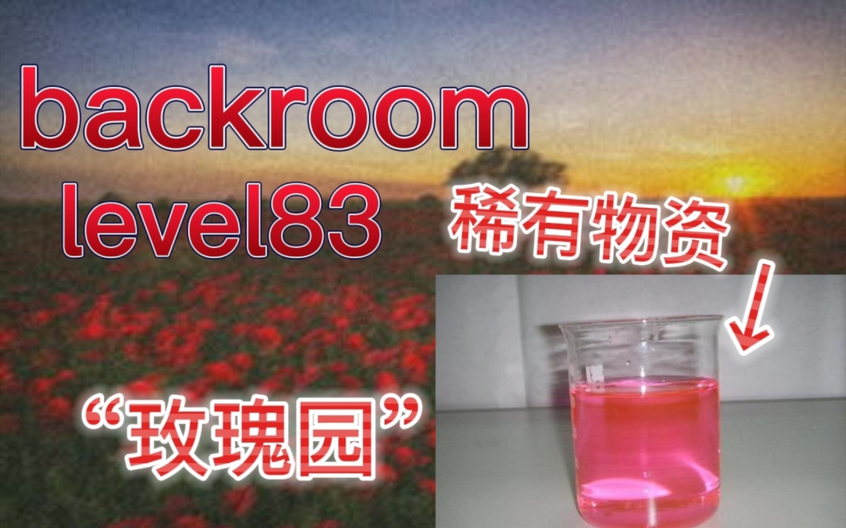 【backroom】level83-玫瑰园。种满玫瑰的楼层，也是烈士的陵园-后室探险家-后室探险家-哔哩哔哩视频