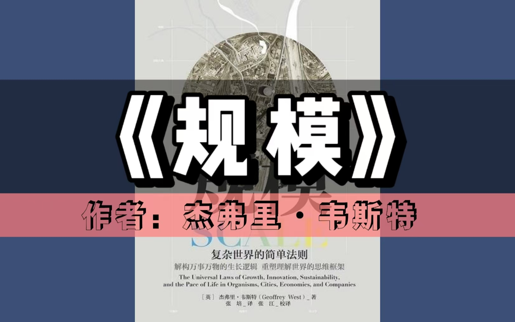 【领读好书】《规模:复杂世界的简单法则》 霸天硬核读书 霸天硬核读书 哔哩哔哩视频
